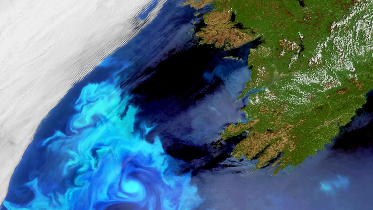 Space Photos This Week: Star Blob, Perseids, More | National Geographic