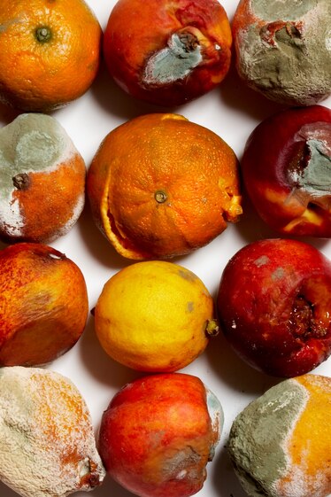 What to do when you see mold on your food