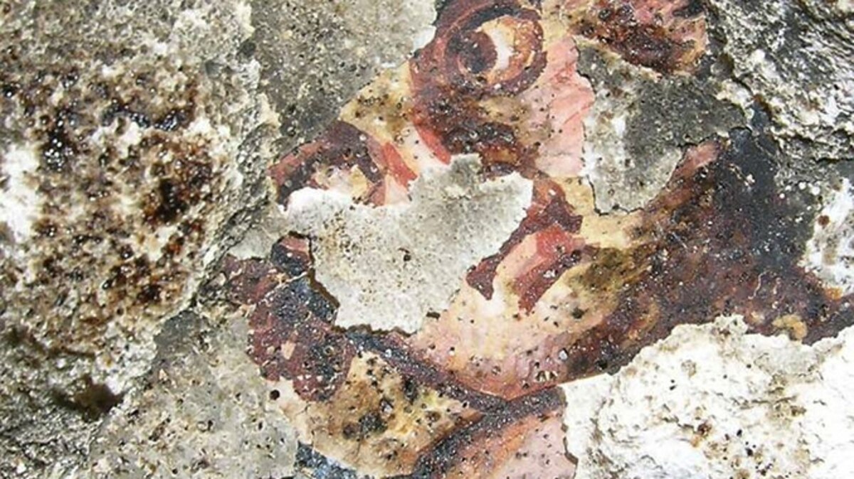 Before & After: Wine-Cult Cave Art Restored in Petra? | National Geographic