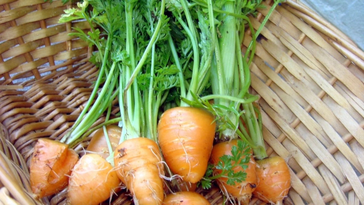 Are ‘Baby’ Vegetables Really Babies? | National Geographic