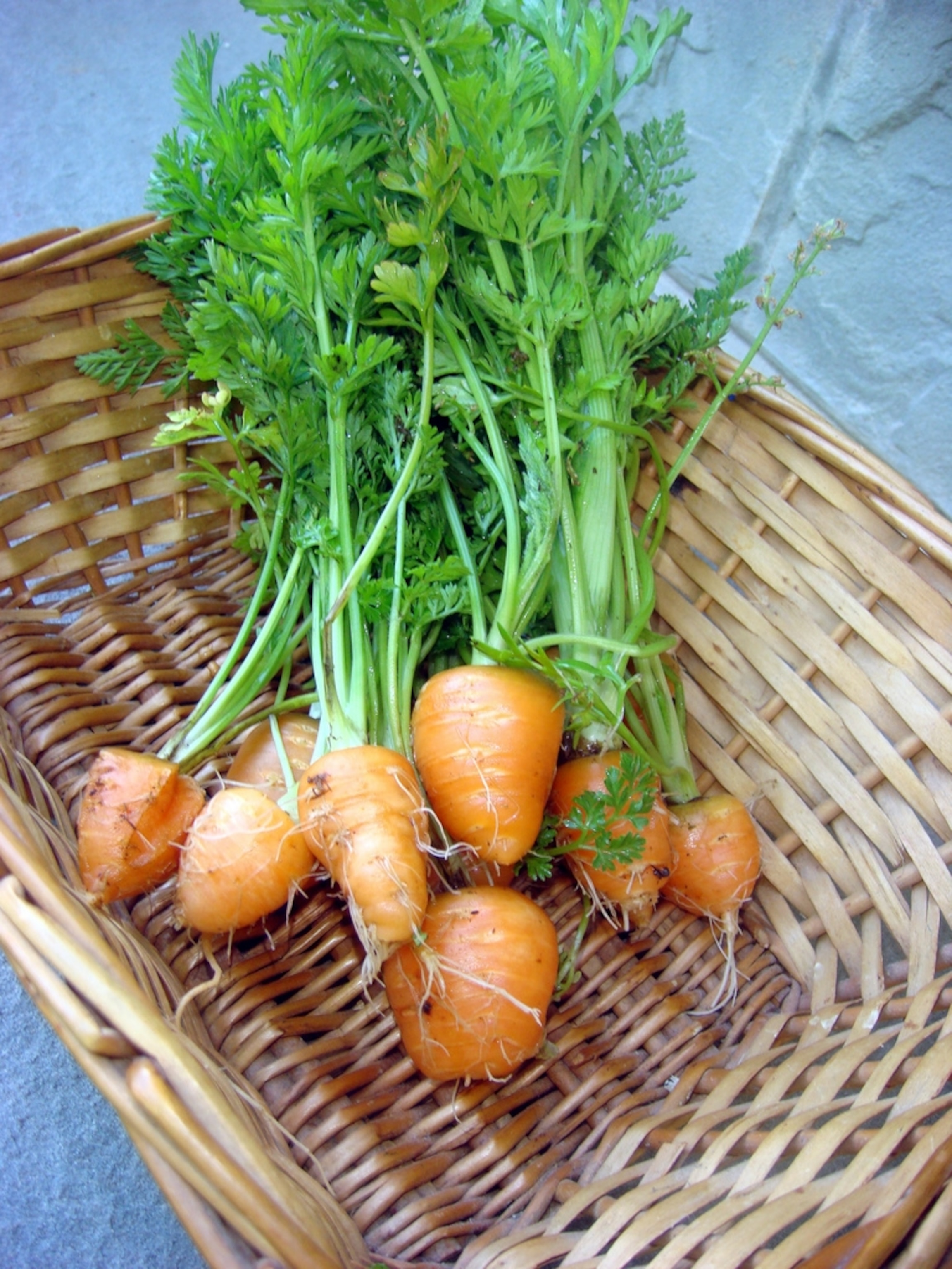 Are ‘Baby’ Vegetables Really Babies?