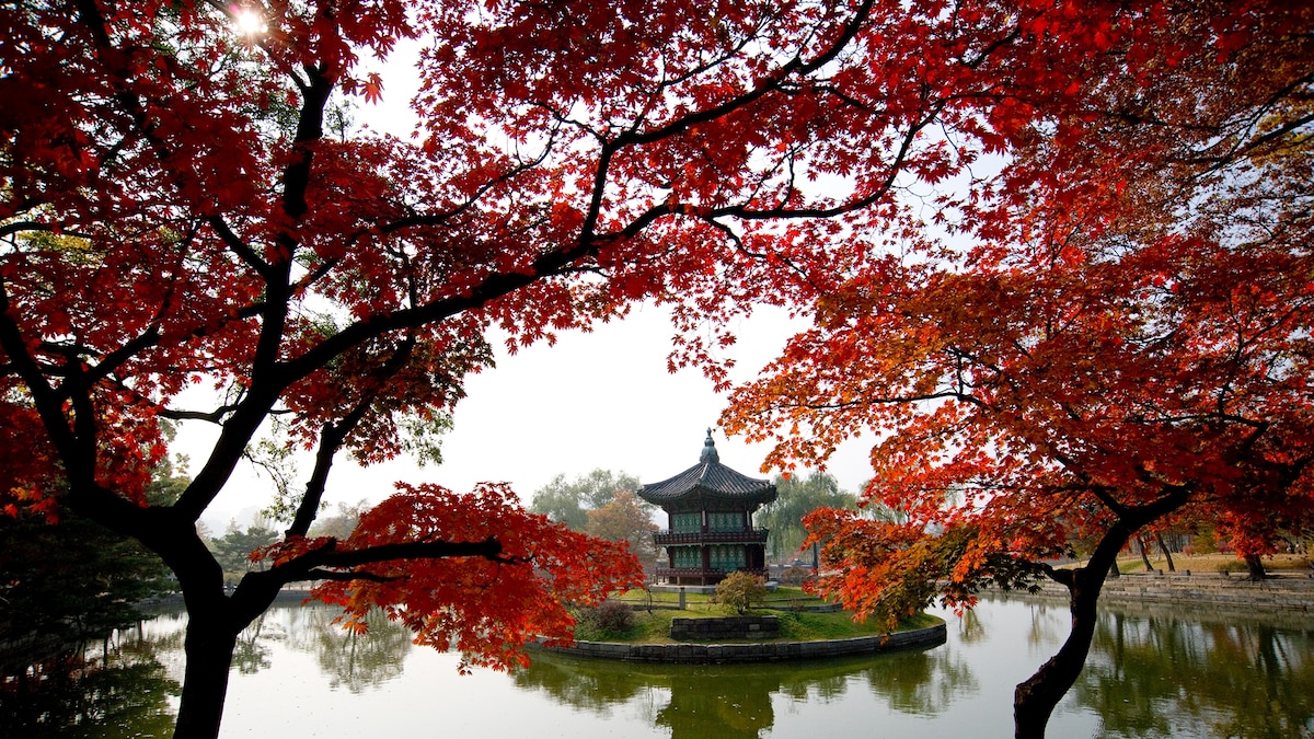 South Korea Travel Guide | National Geographic