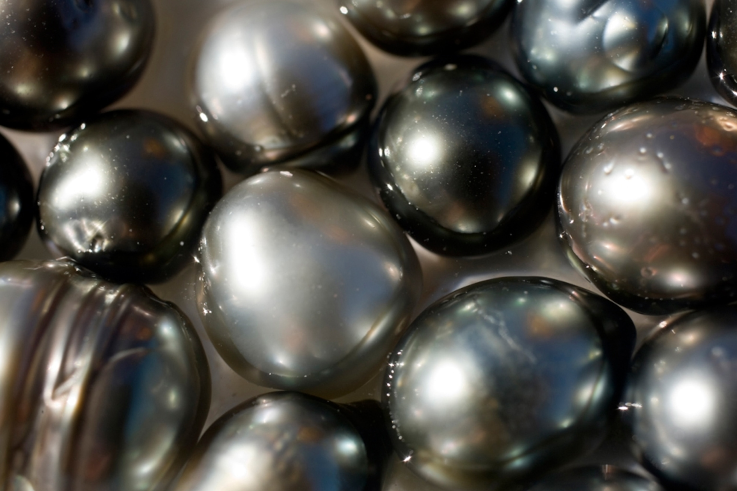 Life in Color: Silver, Silver Pictures -- National Geographic