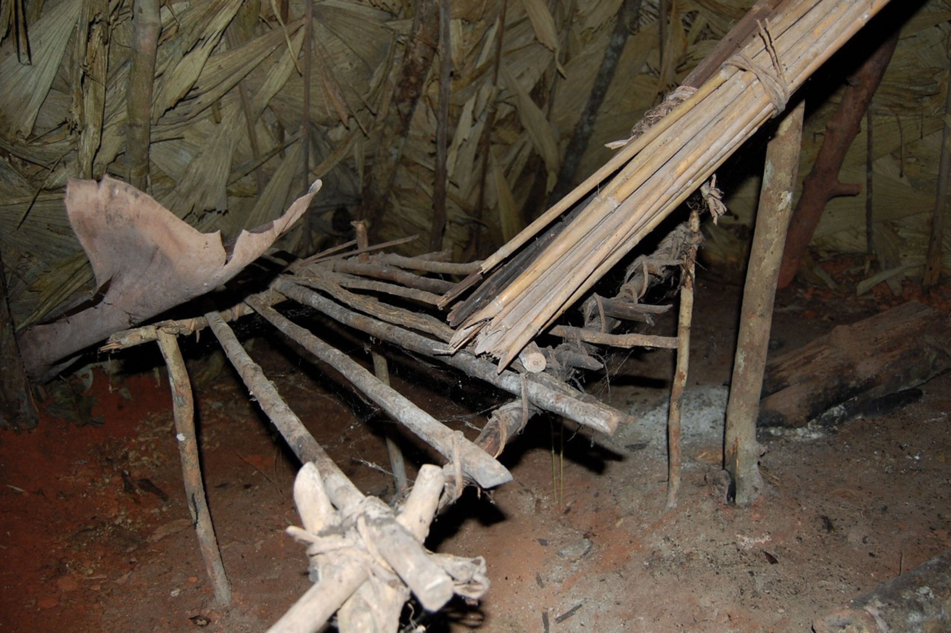 Video of Uncontacted Amazon Tribes in Brazil Sparks Debate