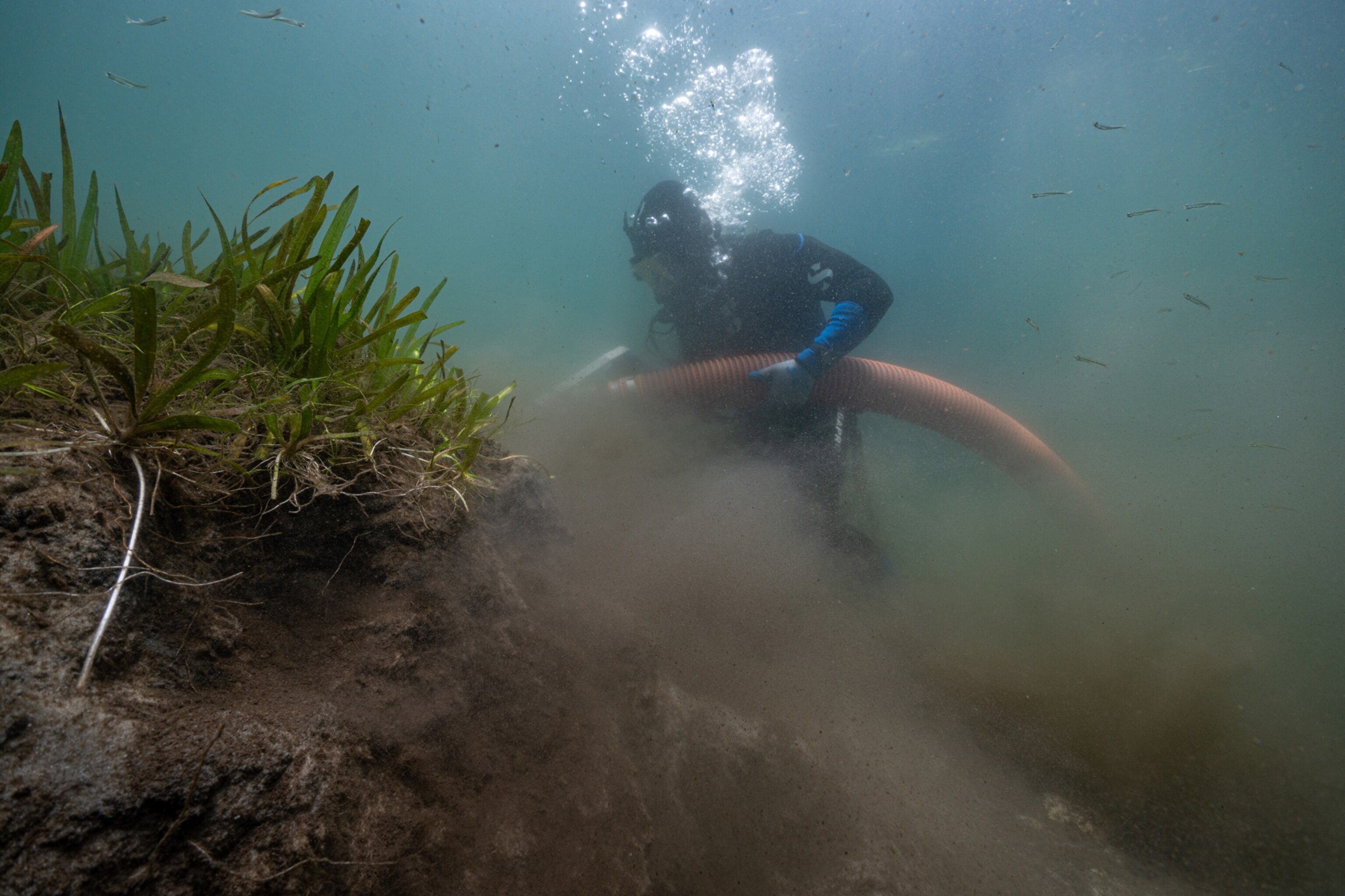 Pollution and overuse threaten Florida's fragile freshwater springs