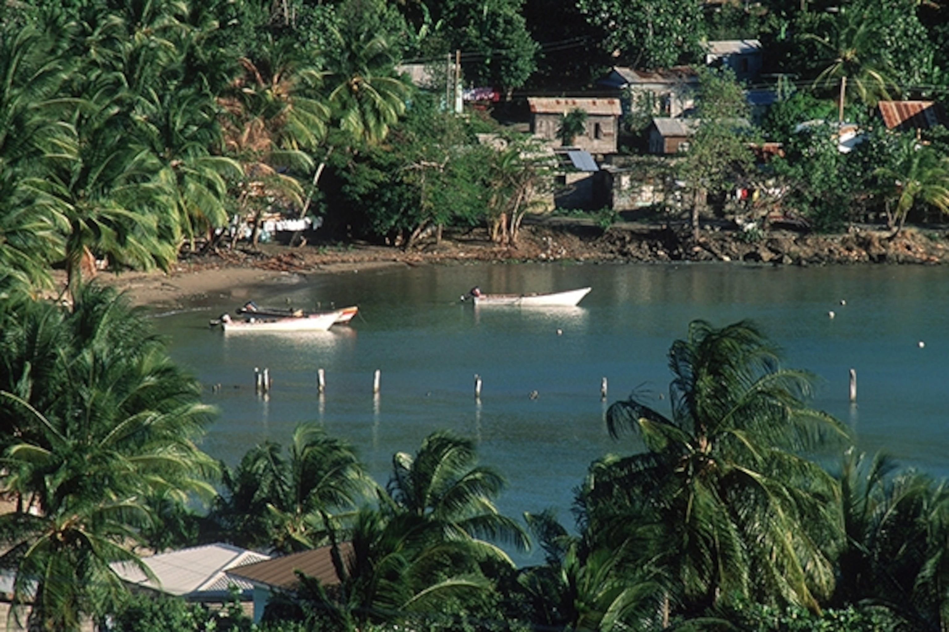 The Art of the Quest: St. Lucia By Clarinet | National Geographic