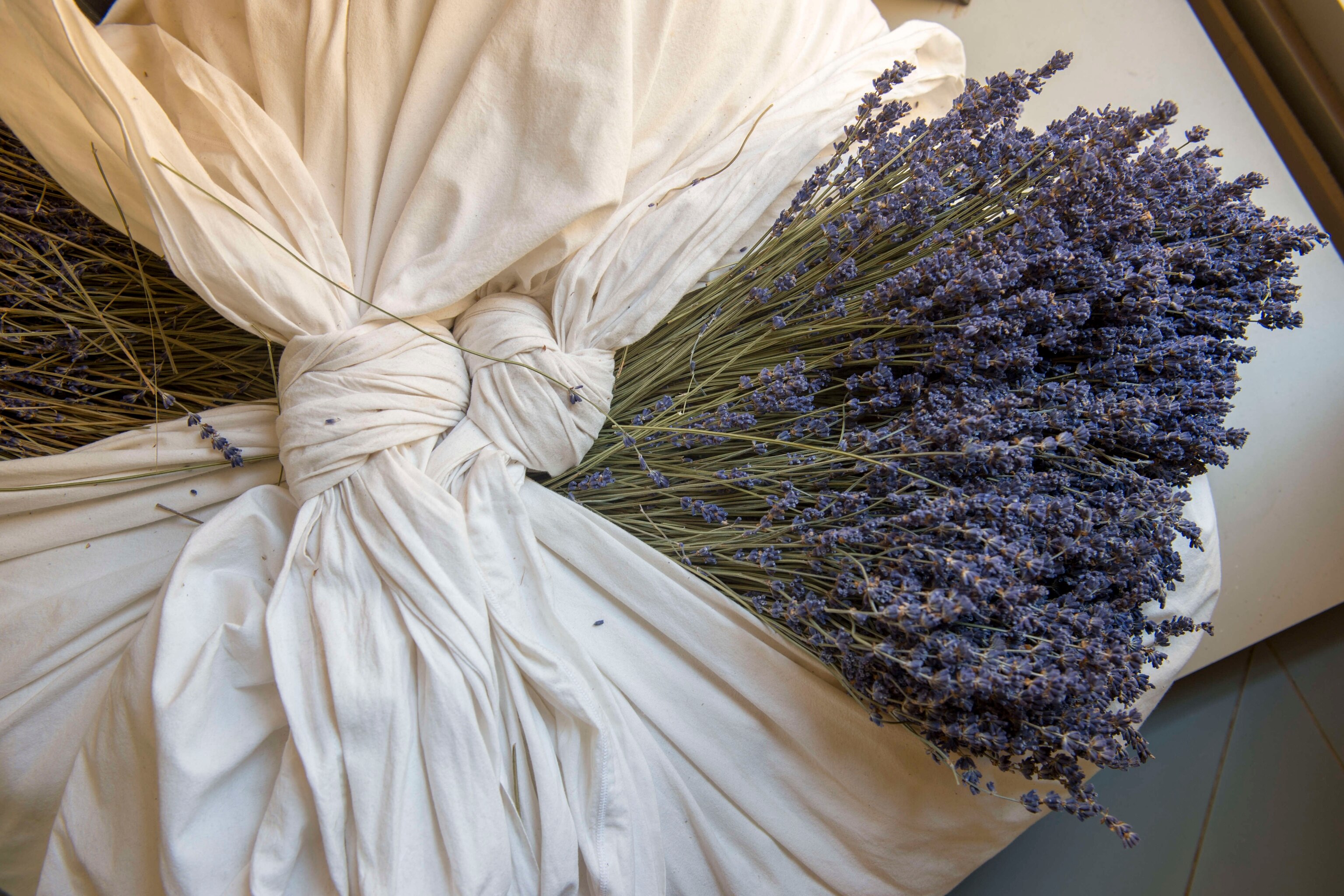 Provence’s iconic lavender fields may soon look very different