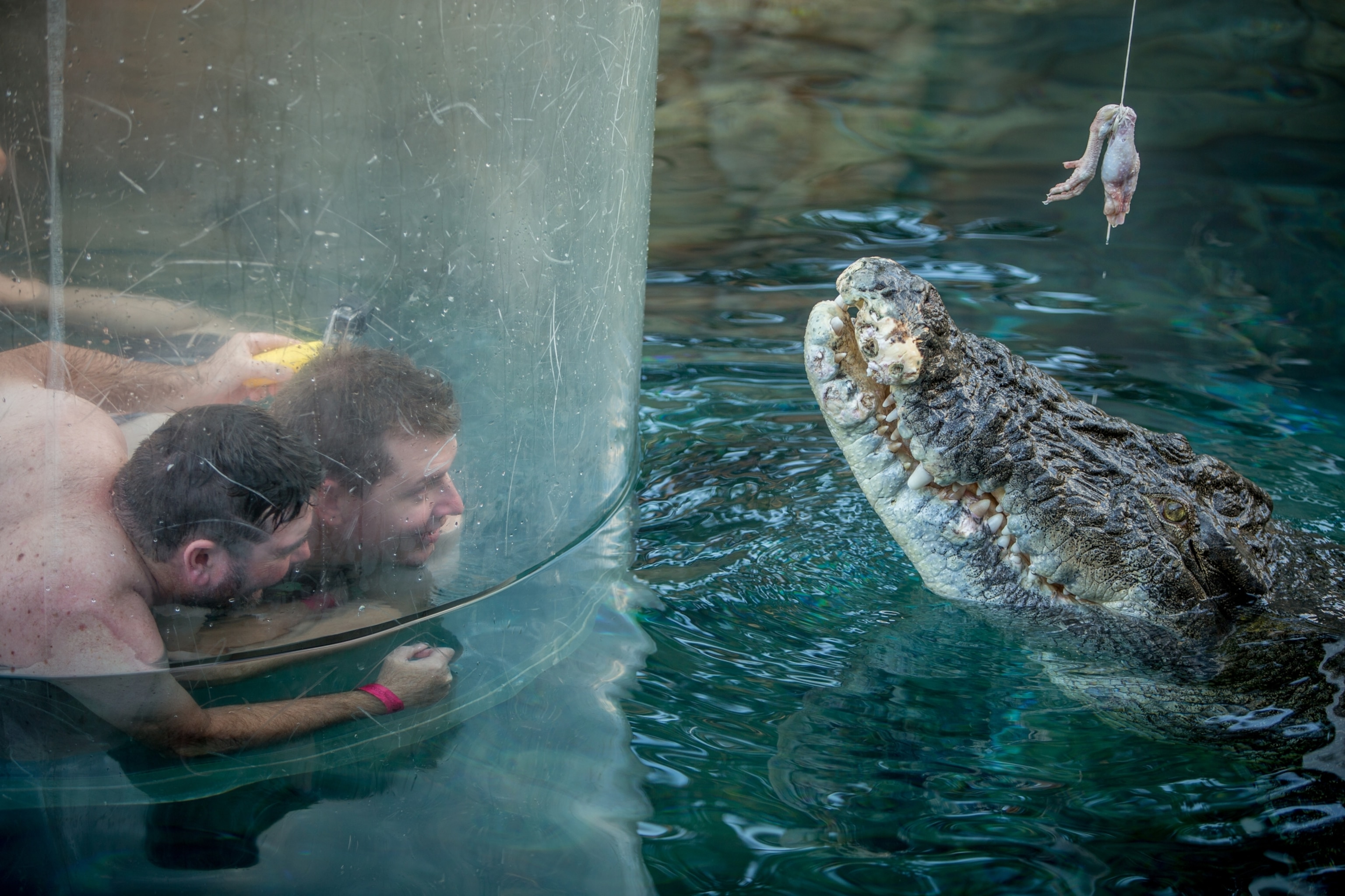 Inside the Rugged Lives of Crocodile Hunters