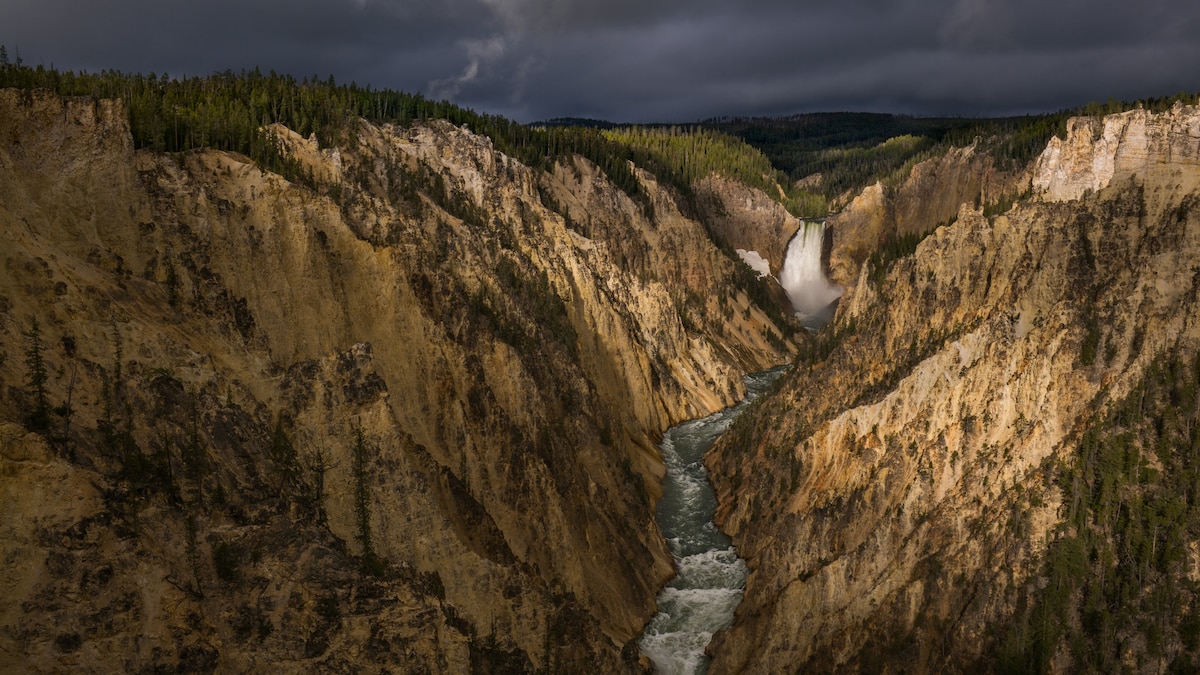 Photographer Michael Nichols on Yellowstone | National Geographic