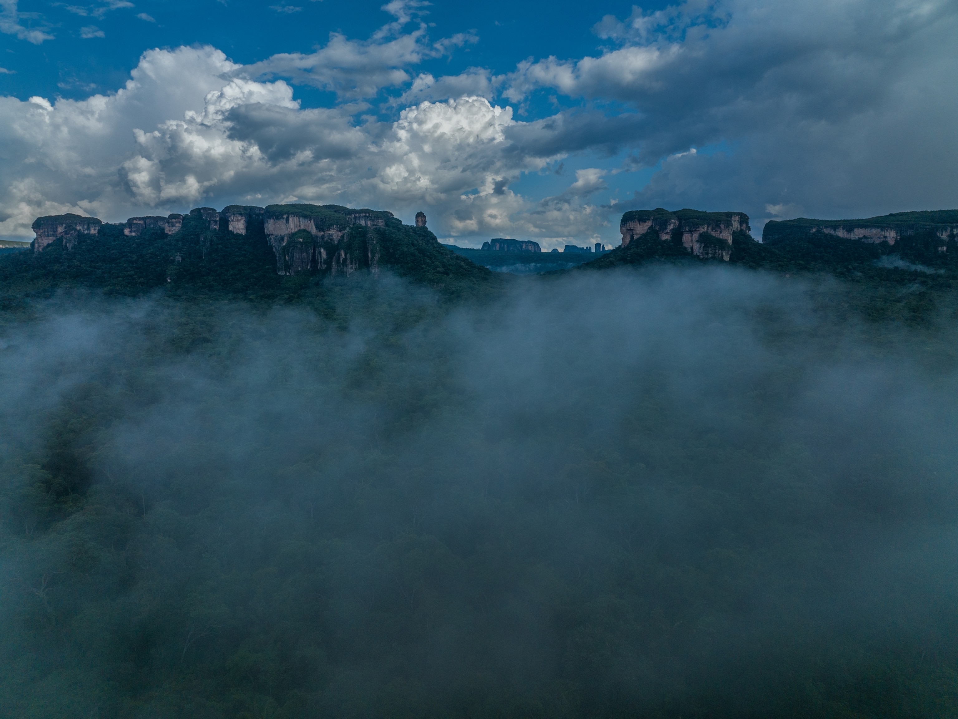 Rarely seen cliff art reveals the majesty of the Amazon’s aquatic realm