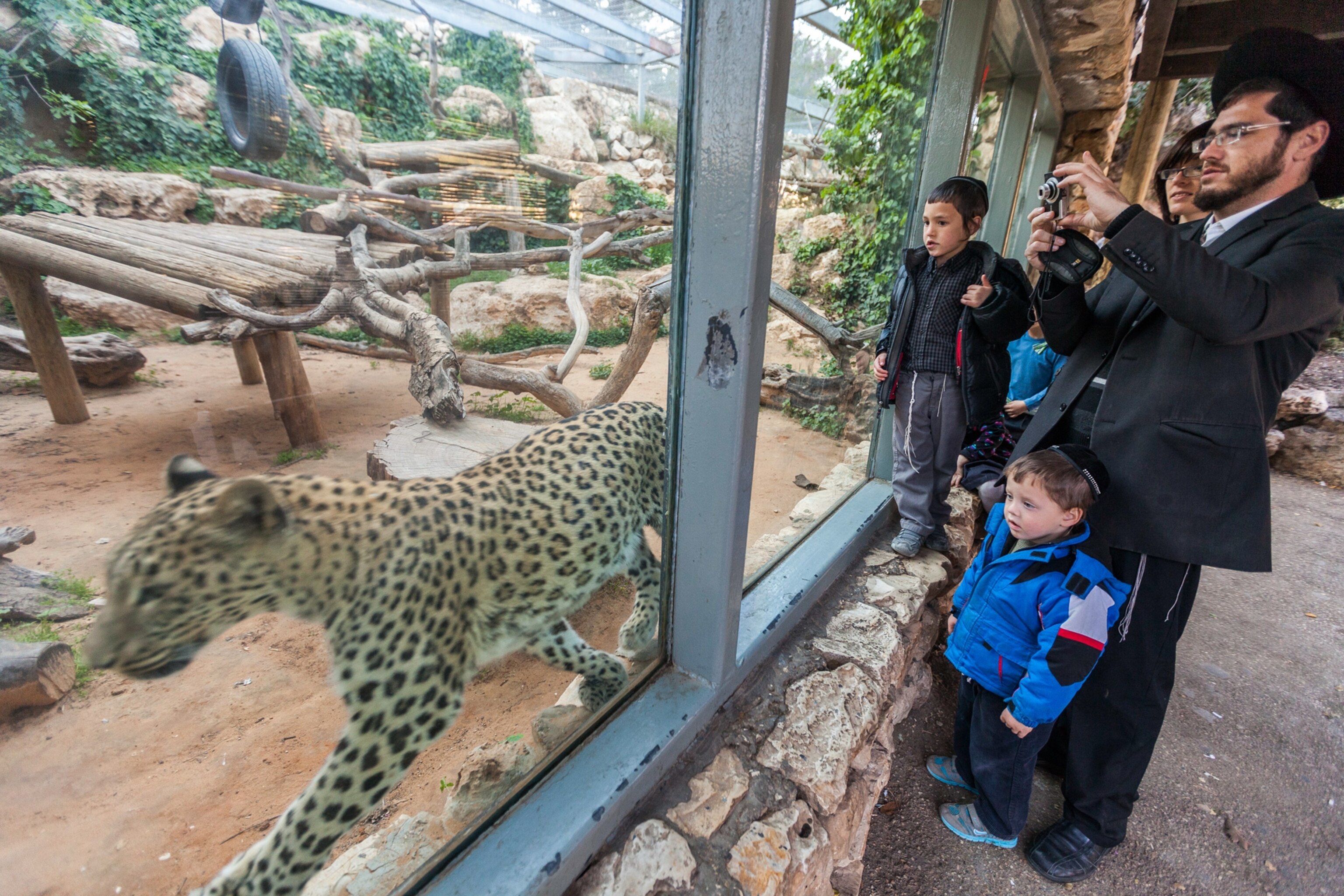 Jerusalem Zoo Struggles to Remain Common Ground for Israelis, Palestinians