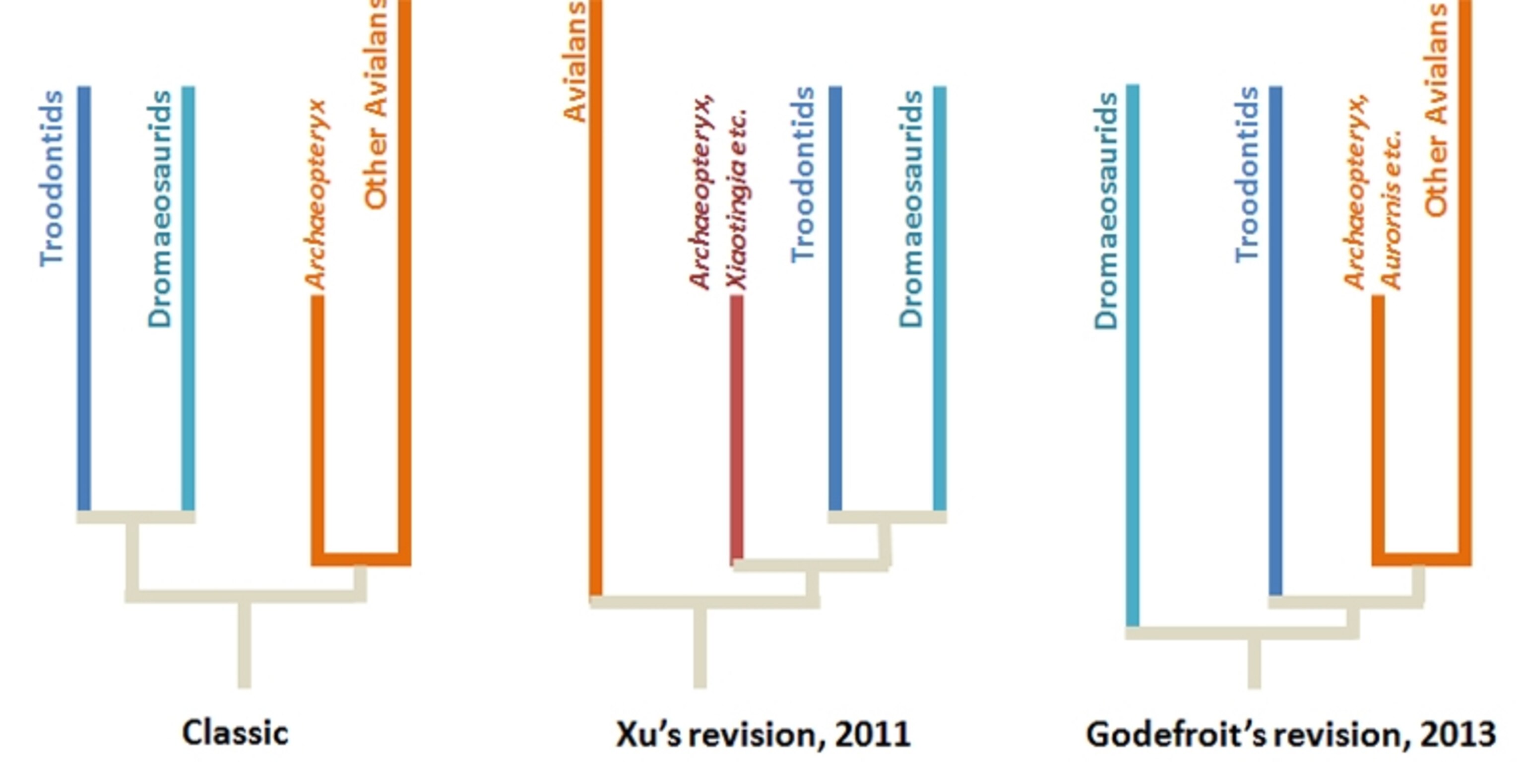 The Changing Science of Just-About-Birds and Not-Quite-Birds