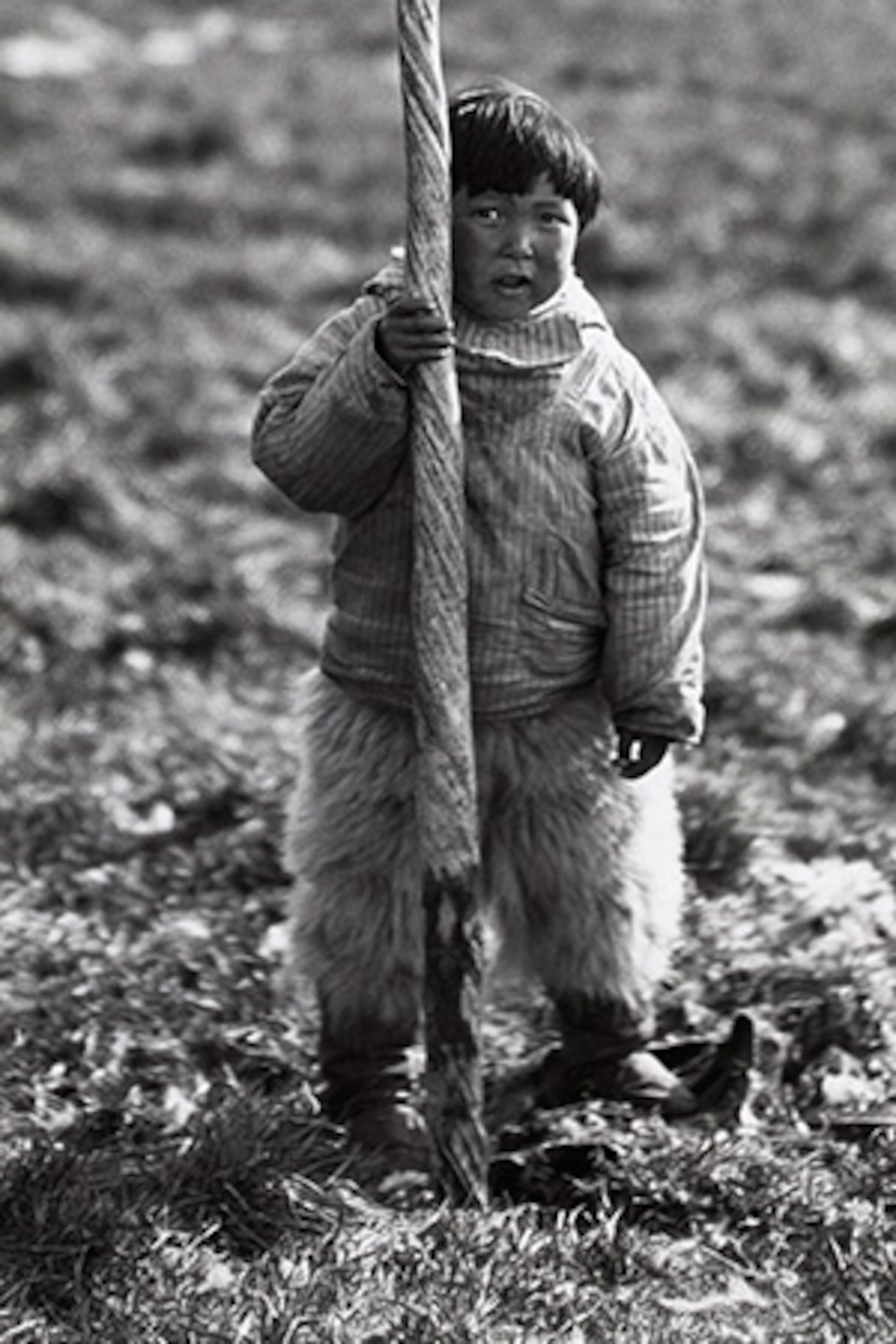 The Mystery of the Sea Unicorn