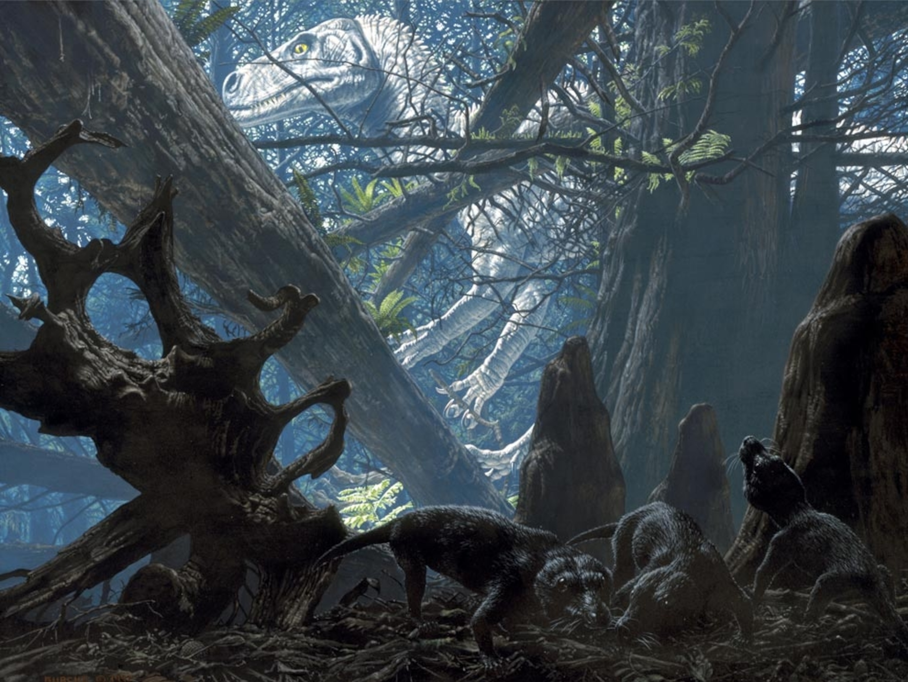 Mass extinction facts and information from National Geographic