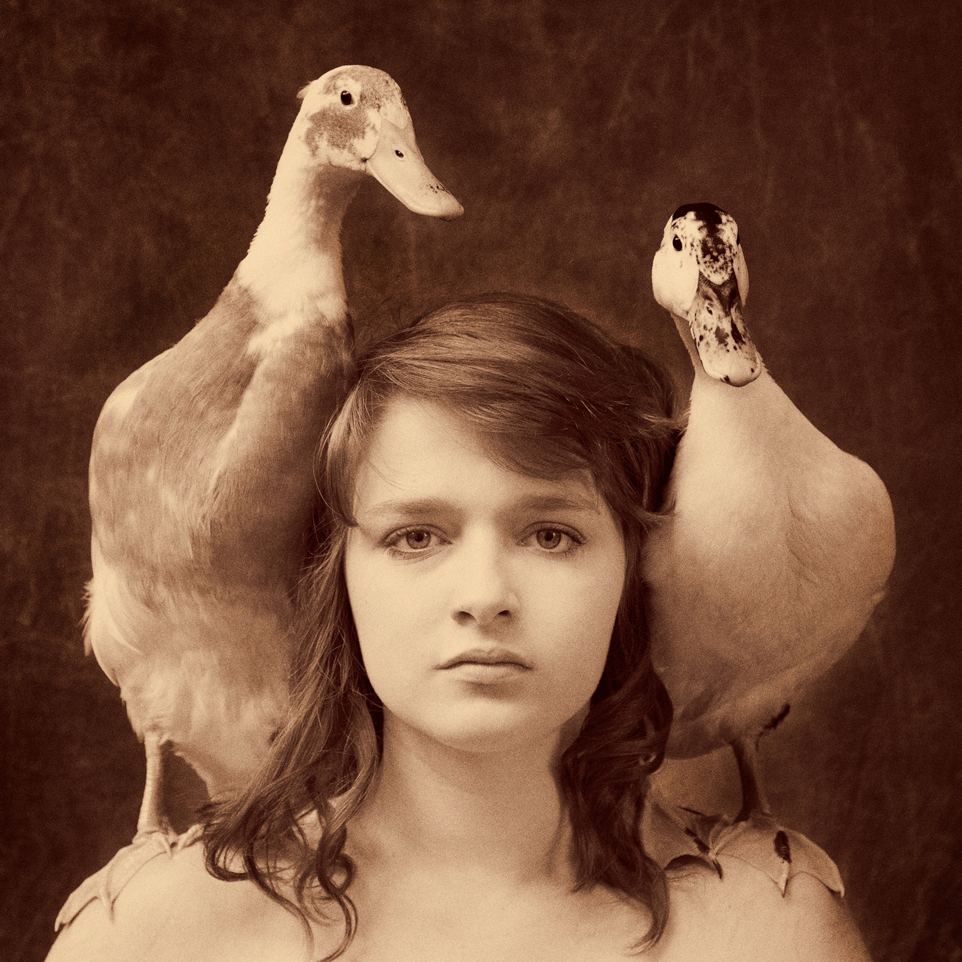 Musings: Holly Wilmeth’s Divine Nature