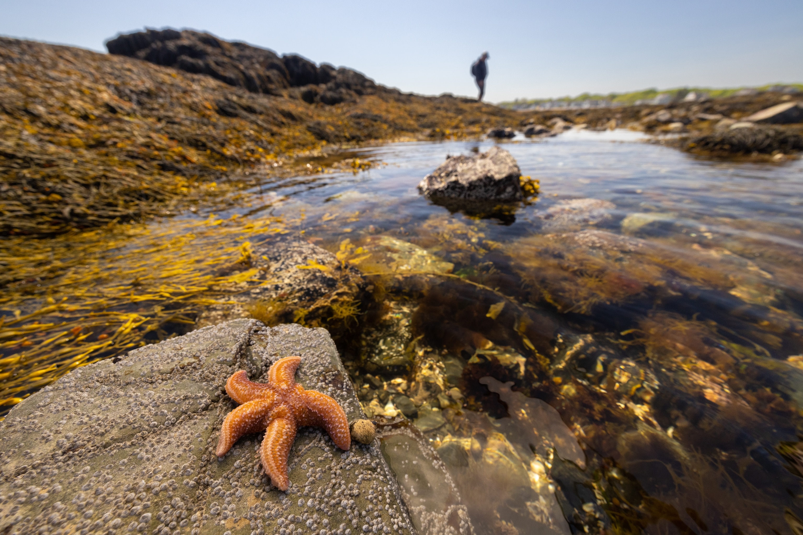 Sandy beaches, tidal pools, and history mark a tour of Maine's beaches