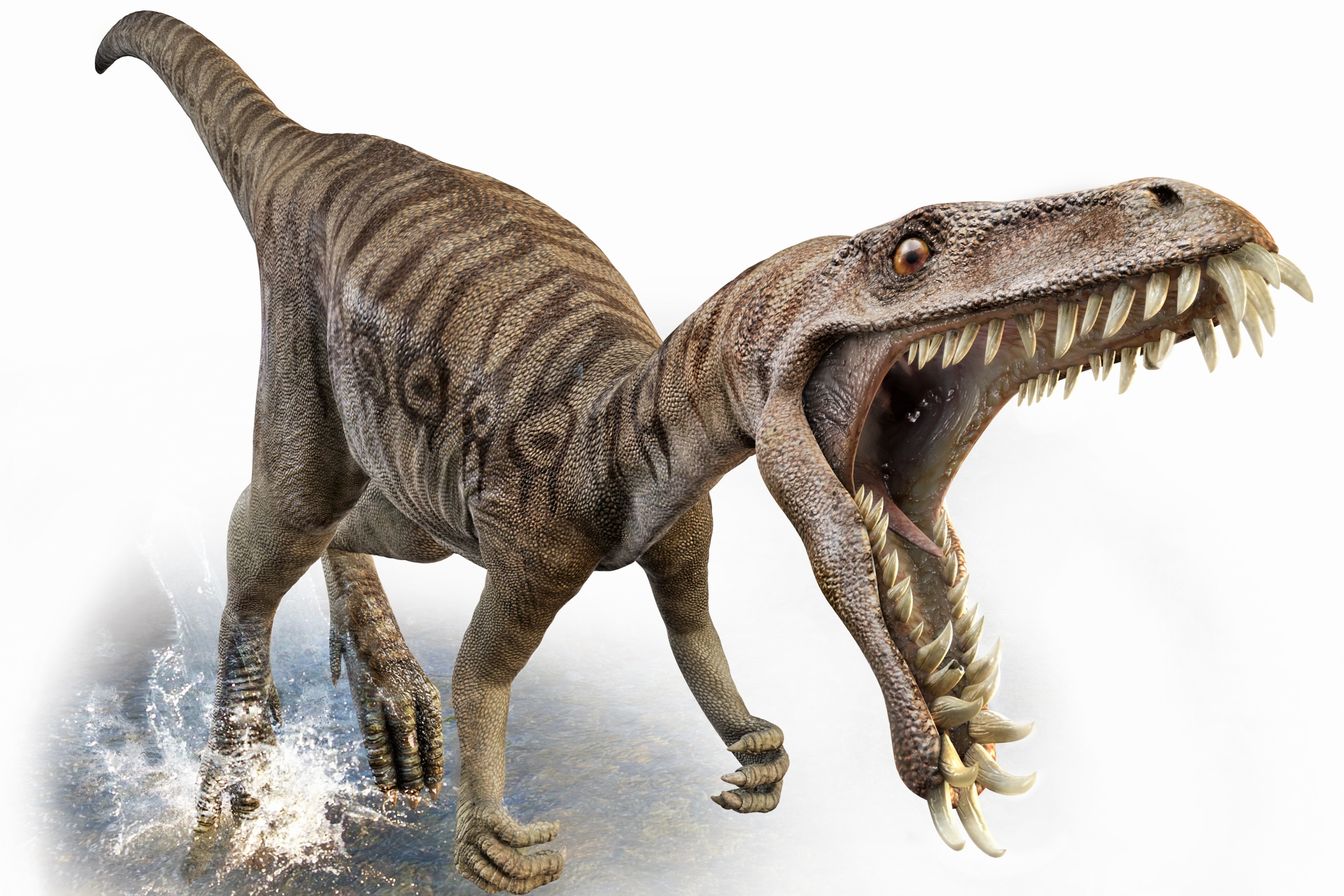 Extinct Species Dinosaurs