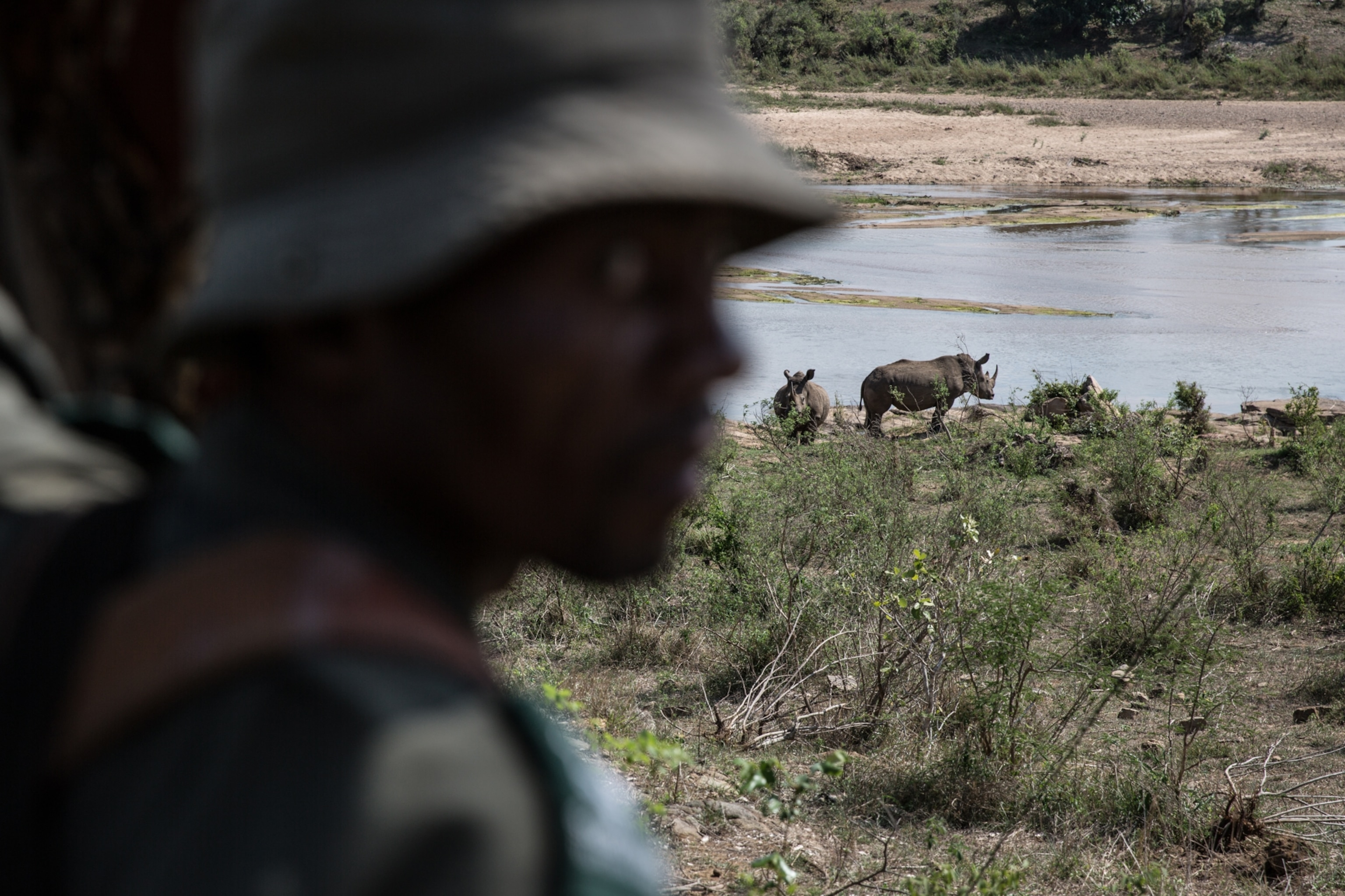 This ‘rhino court’ had 100 percent poacher convictions. Why was it closed?