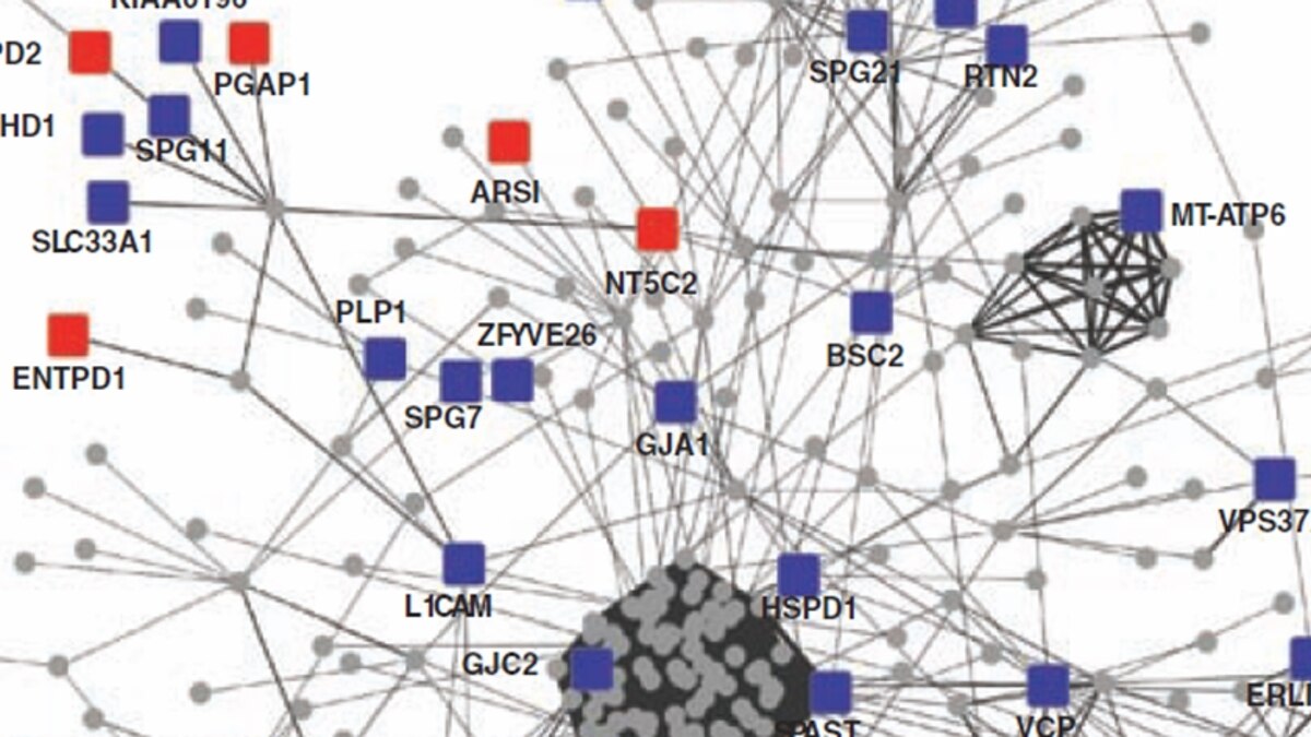Now This Is How You Find Disease Genes | National Geographic