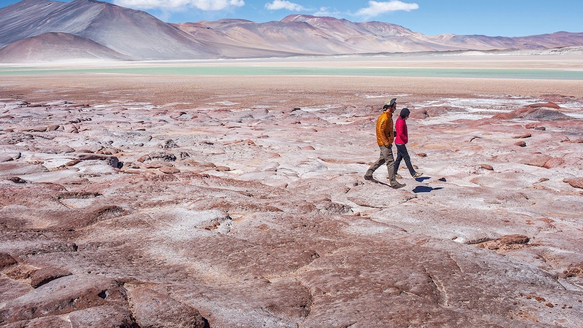 Experiencing another kind of life in the Atacama Desert | National ...
