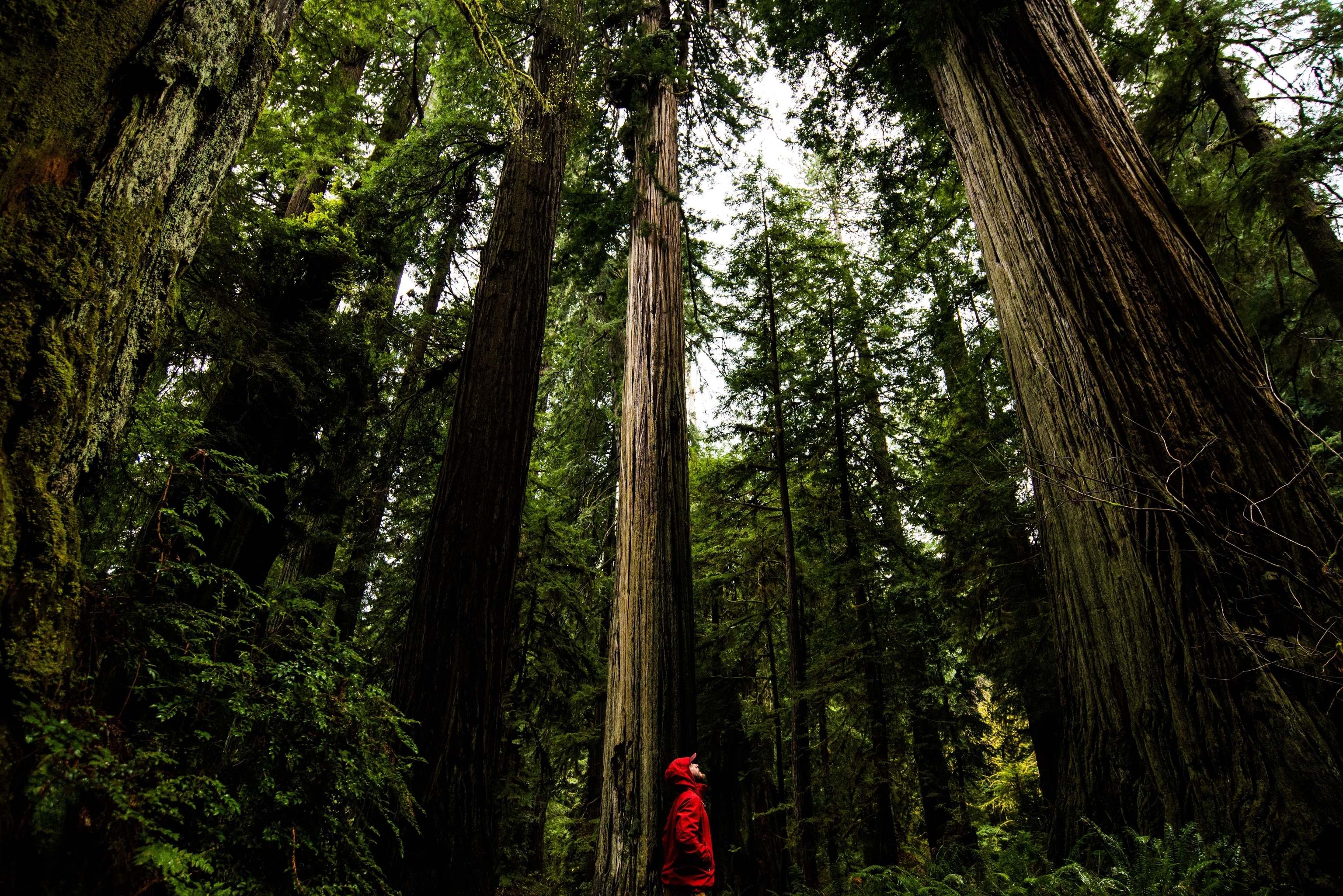 Your California Photos - National Geographic | National Geographic