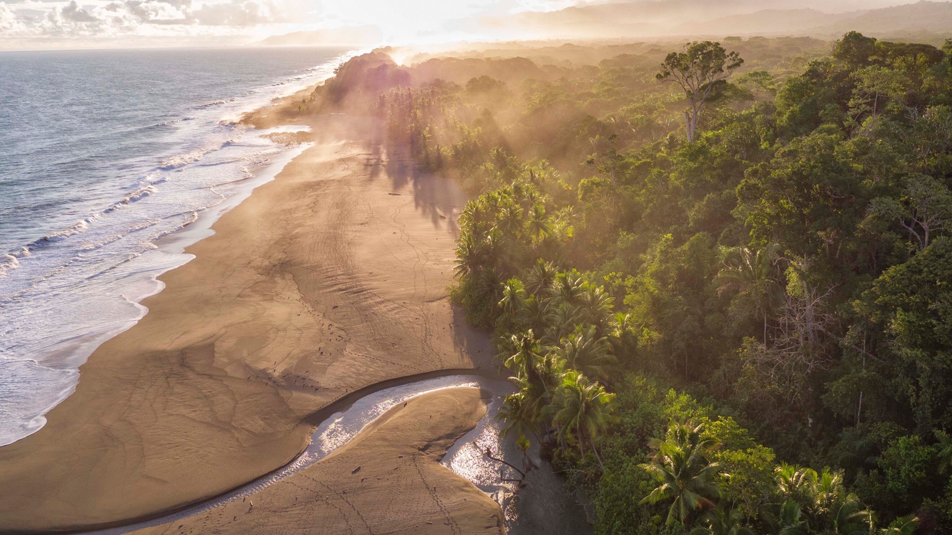 Life through the lens: Charlie Hamilton James