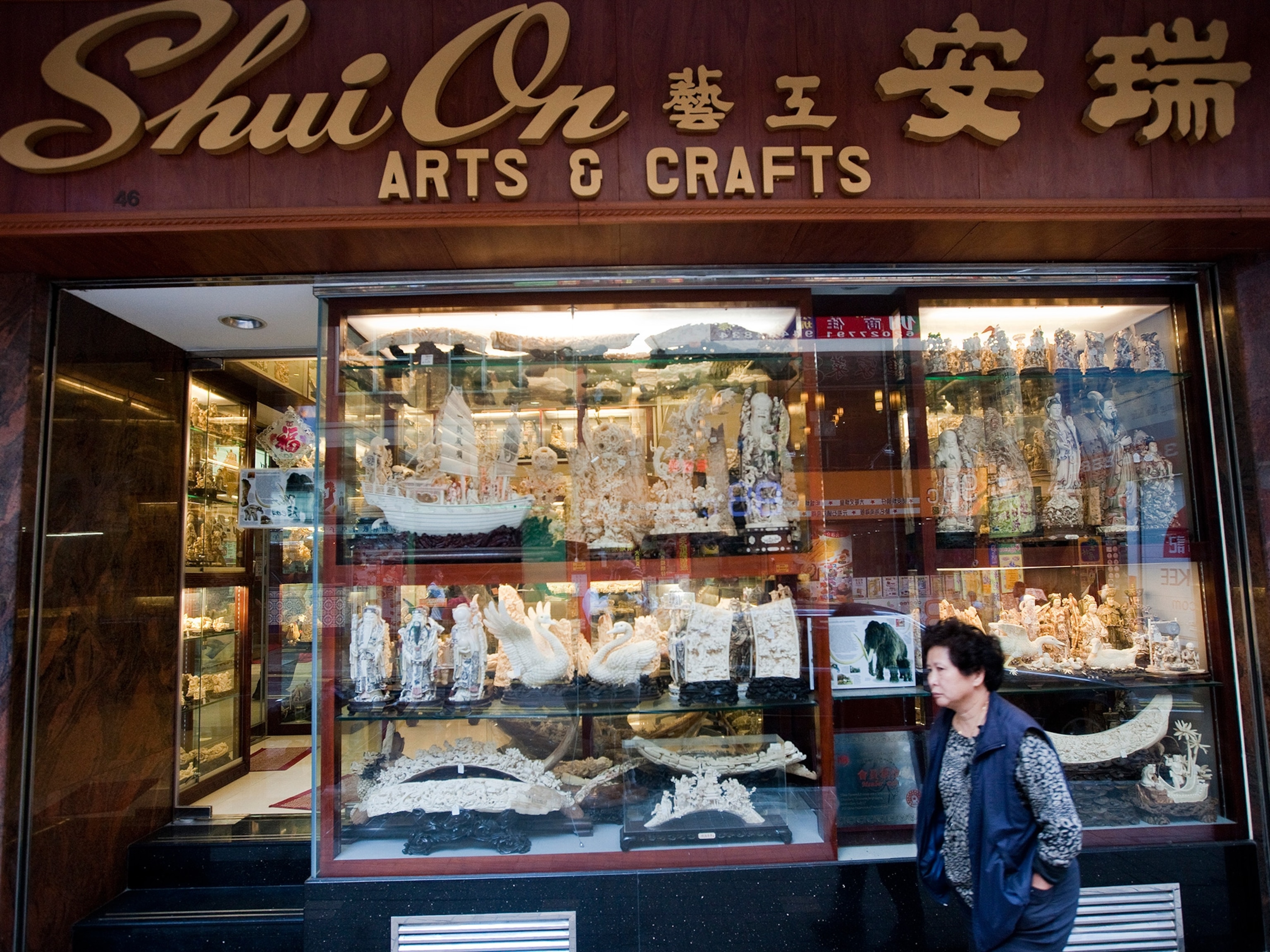 Elephants Win as Hong Kong’s Leader Says It Will Ban Ivory Trade