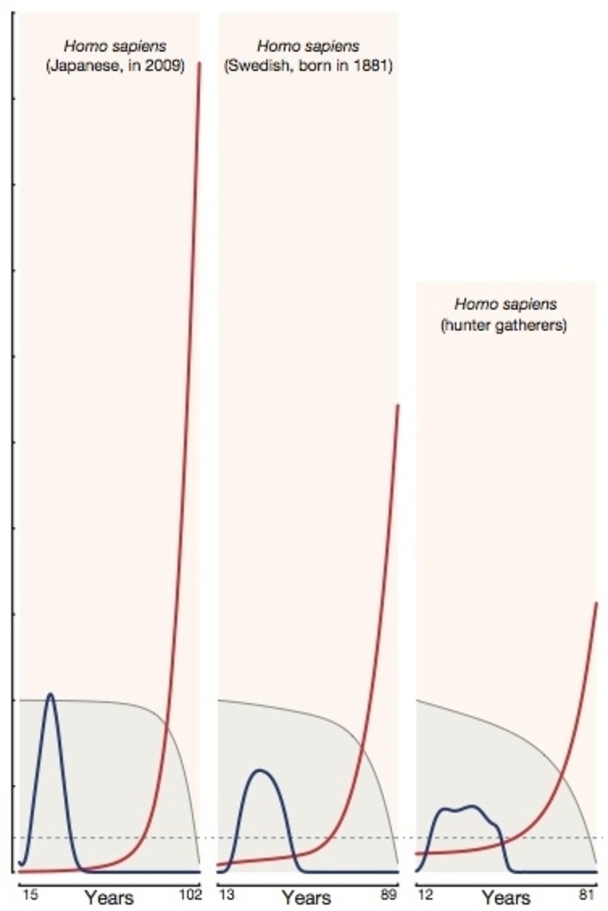 Why Do We Age? A 46-Species Comparison
