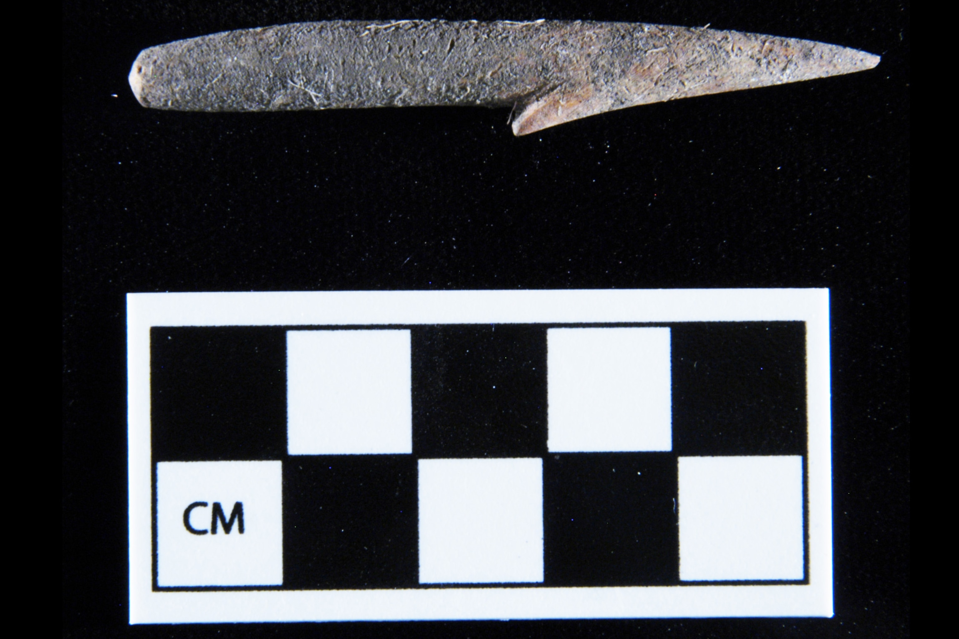 Home of Indigenous Calusa King Rediscovered in Florida