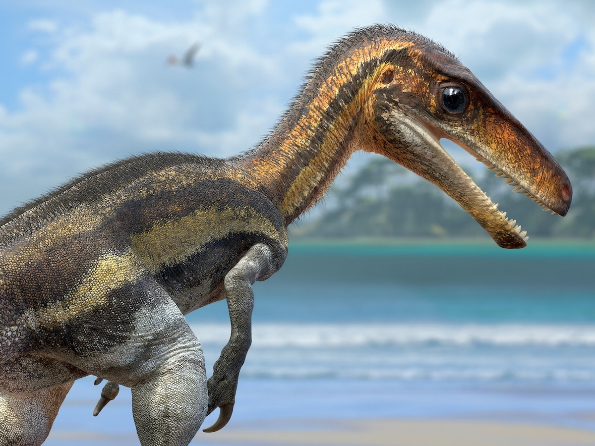 This small dinosaur had a marvelous sense of touch, detailed fossils reveal