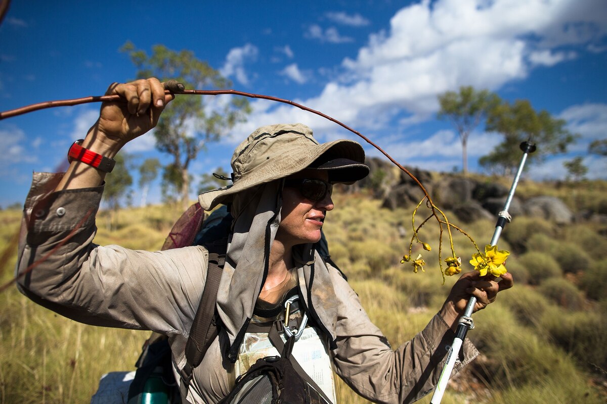 To Find Food in the Wild, You Must Know How to Look
