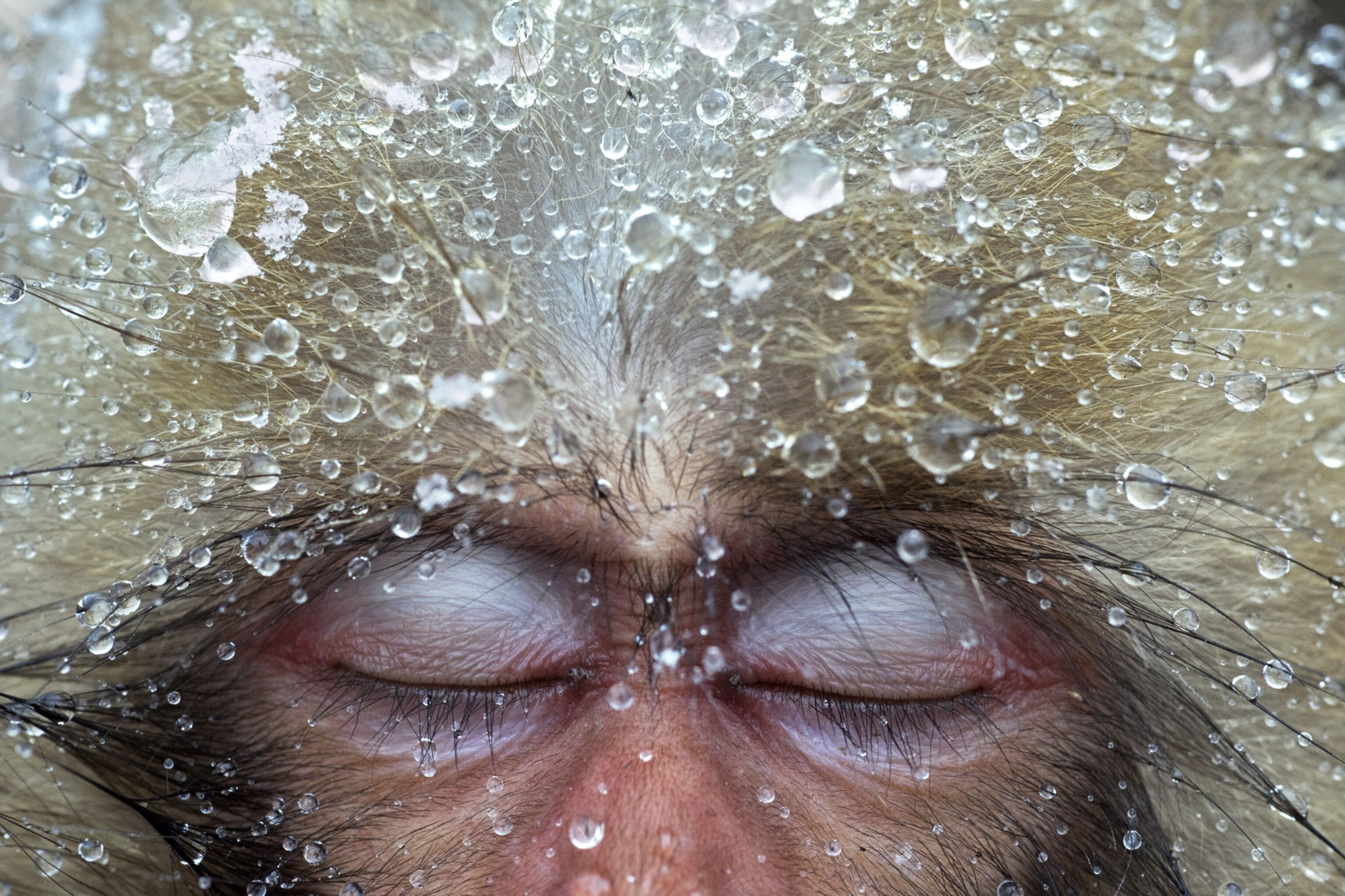 How to take wildlife photos like a pro