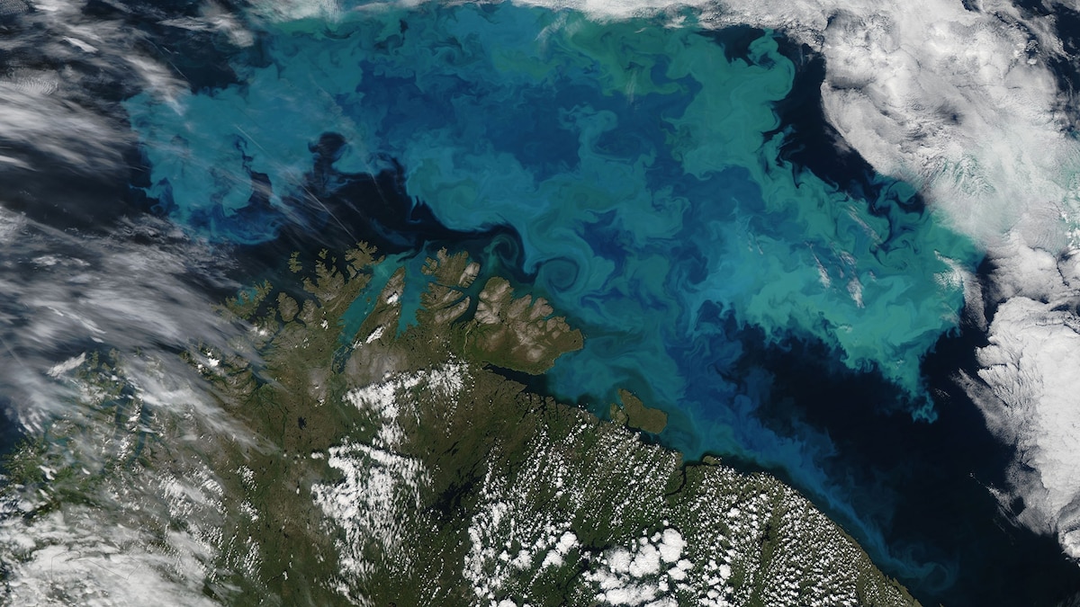 Climate change will shift the oceans’ colors, study predicts | National ...