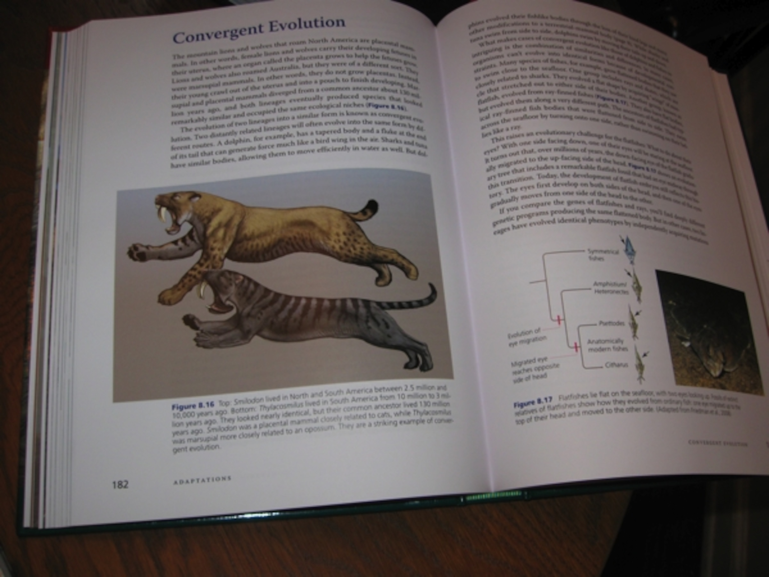 Pictures From A Proud Book Papa | National Geographic