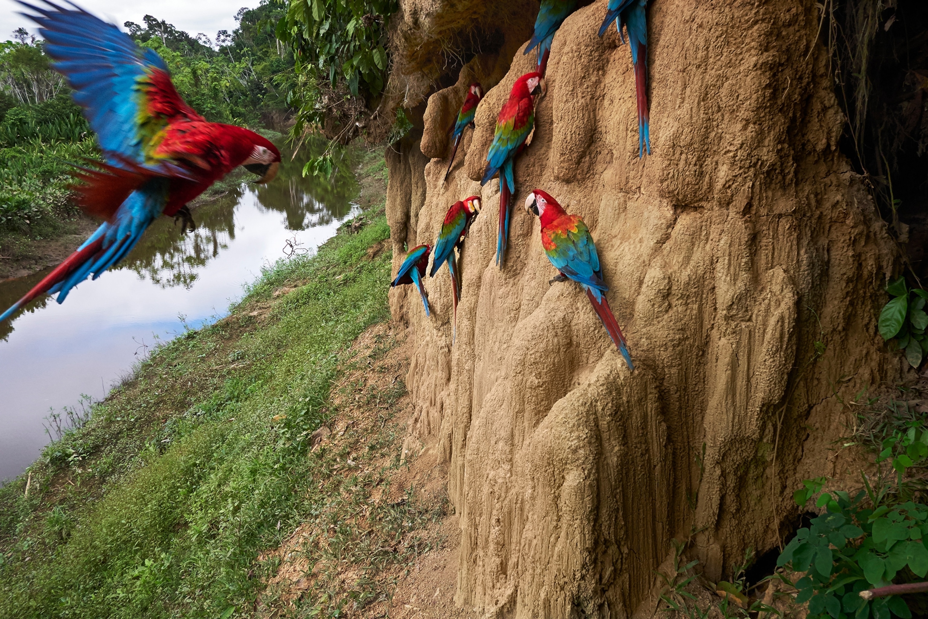 Three High-Altitude Peoples, Three Adaptations to Thin Air