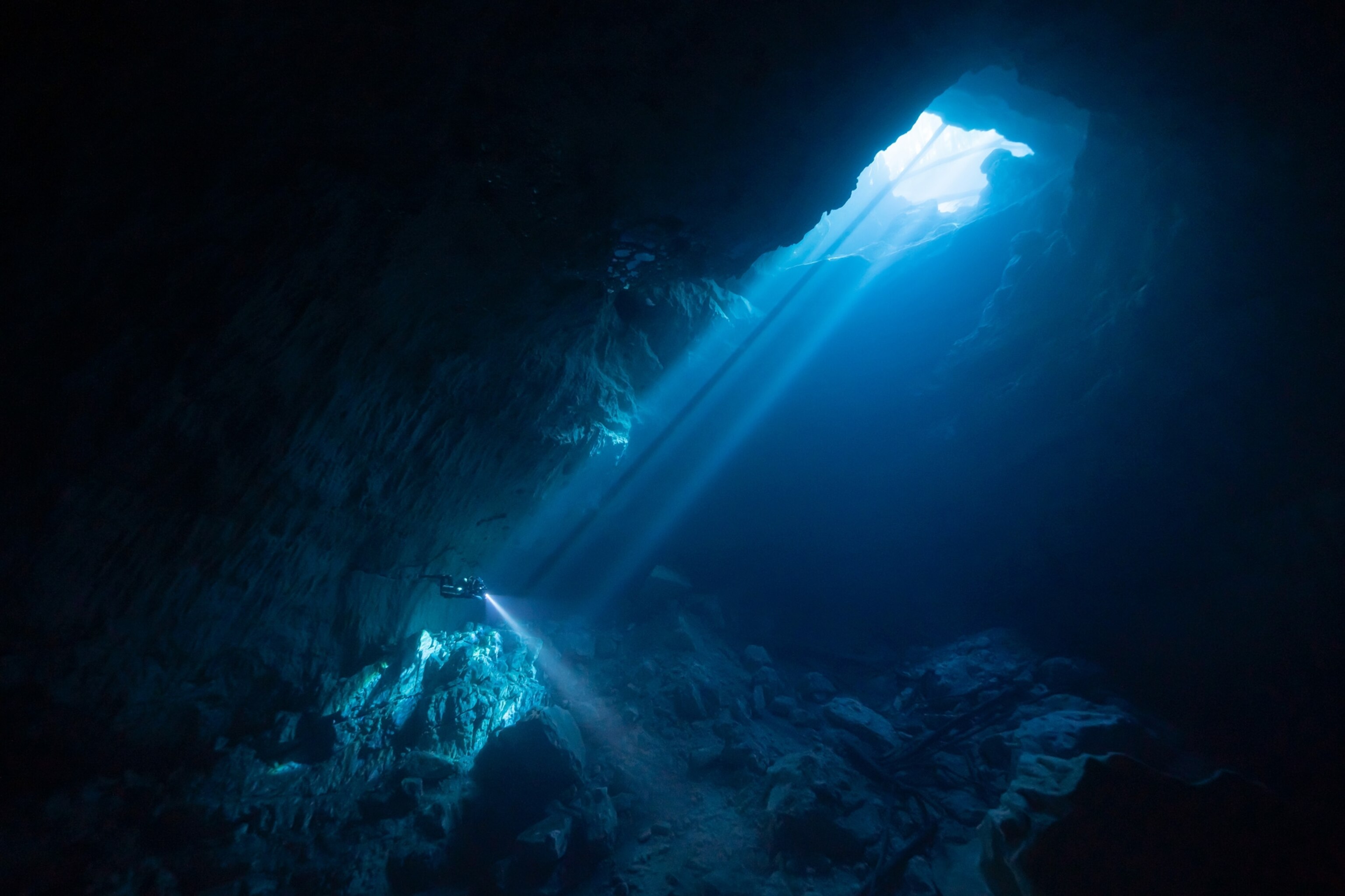 Pollution and overuse threaten Florida's fragile freshwater springs