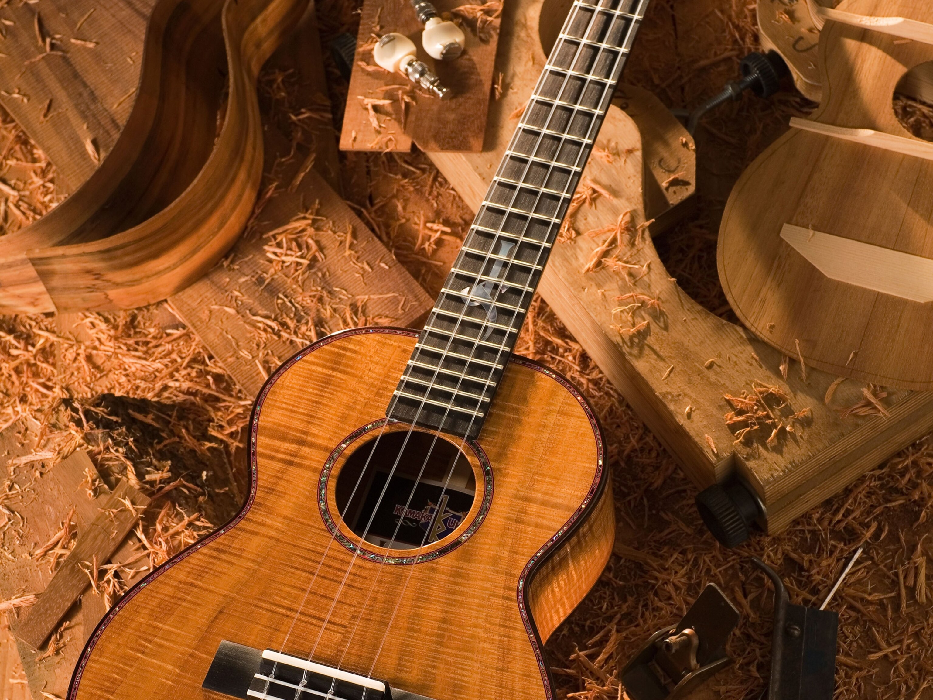 Still Life Photography Music Instruments