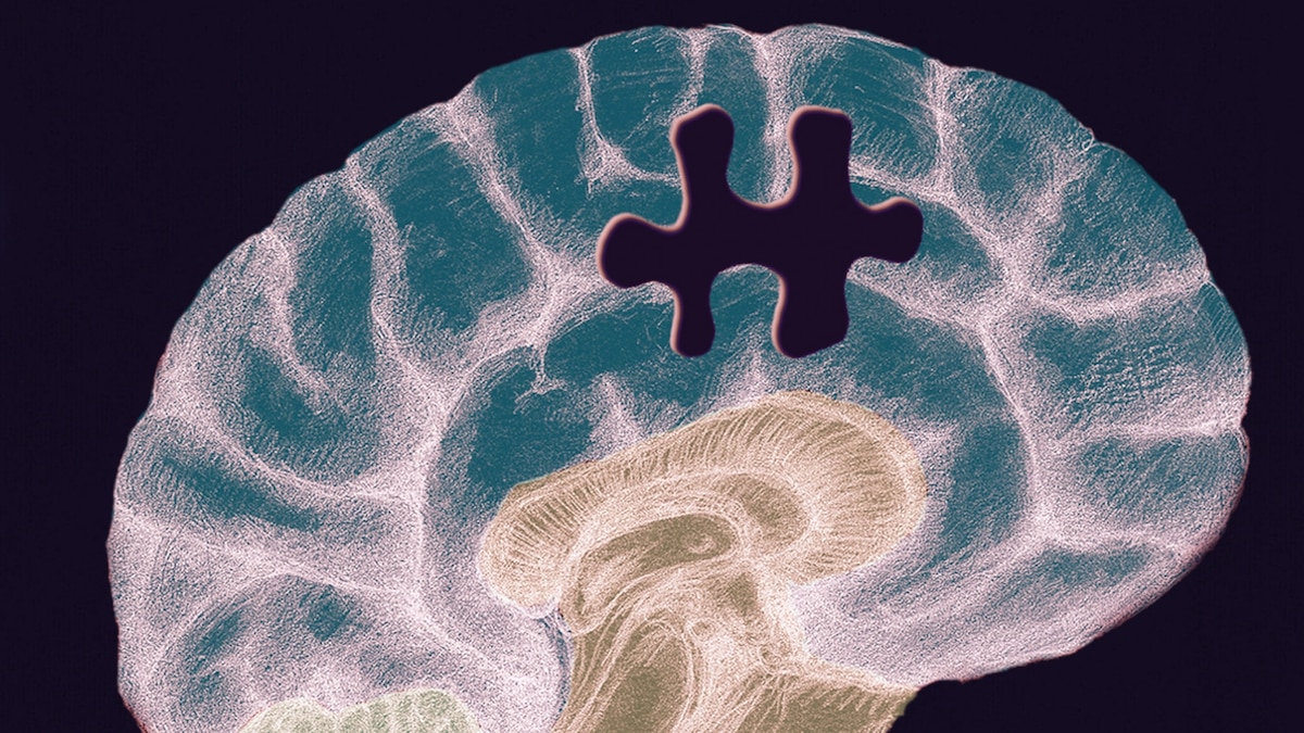 6 science-backed strategies to improve your memory | National Geographic