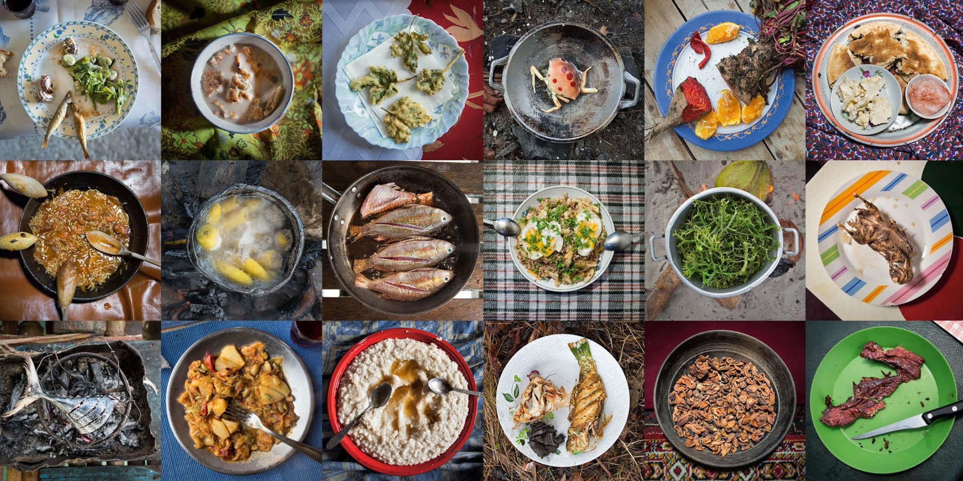 Surprising Pictures and Video Explore the Oldest Diets on Earth