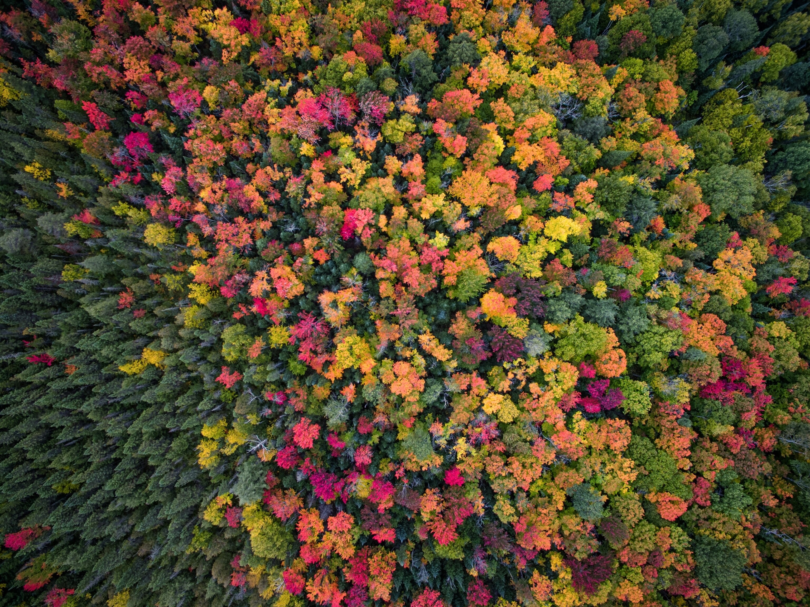 Stunning Fall Pictures Taken by Drones | National Geographic