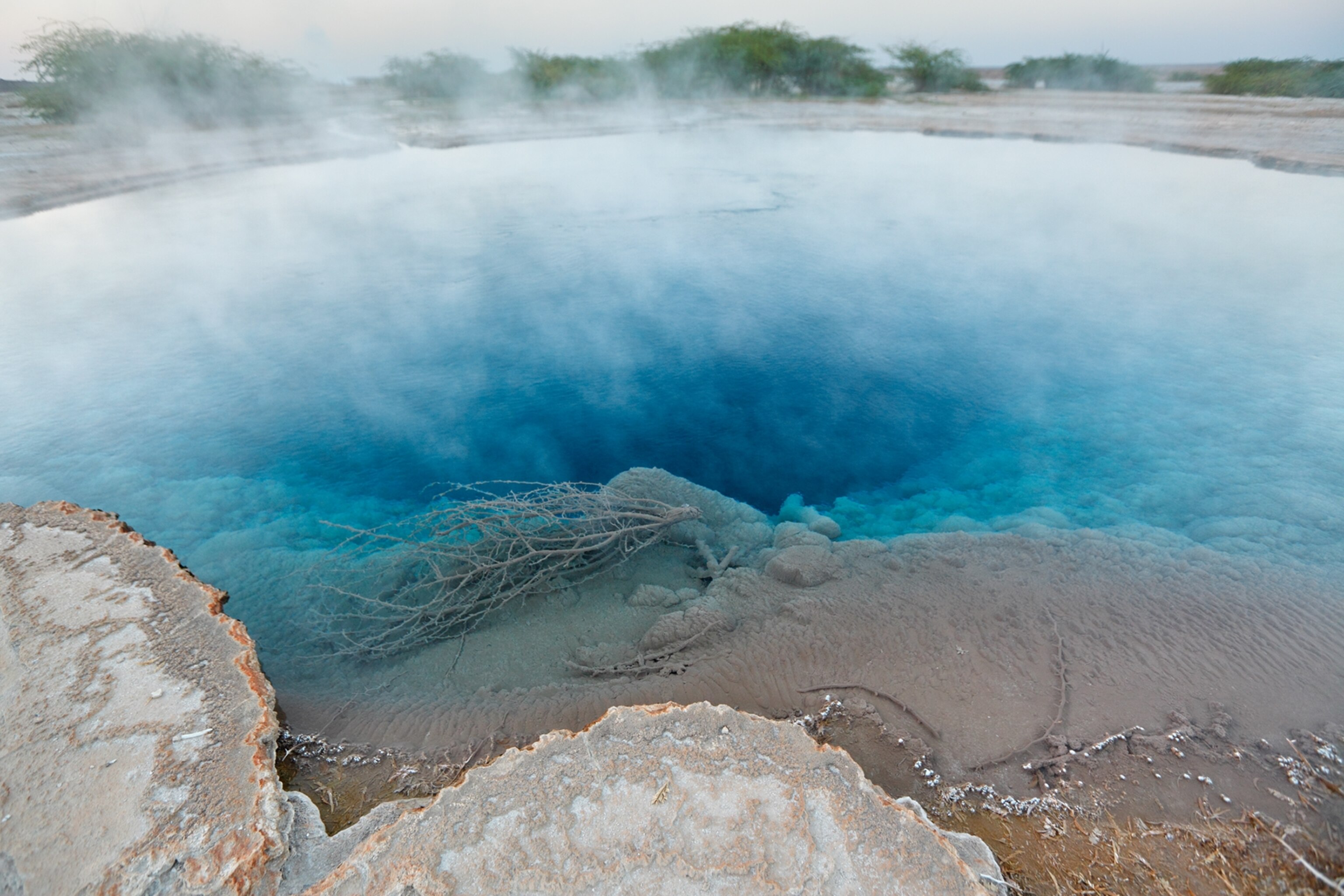 The Salt and the Earth