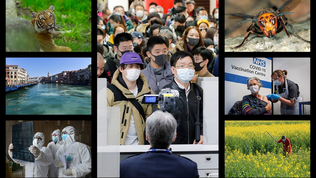 The 10 most popular Nat Geo stories of 2020 | National Geographic