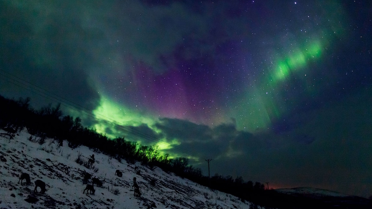 This Swedish overnight train takes you straight to the northern lights ...