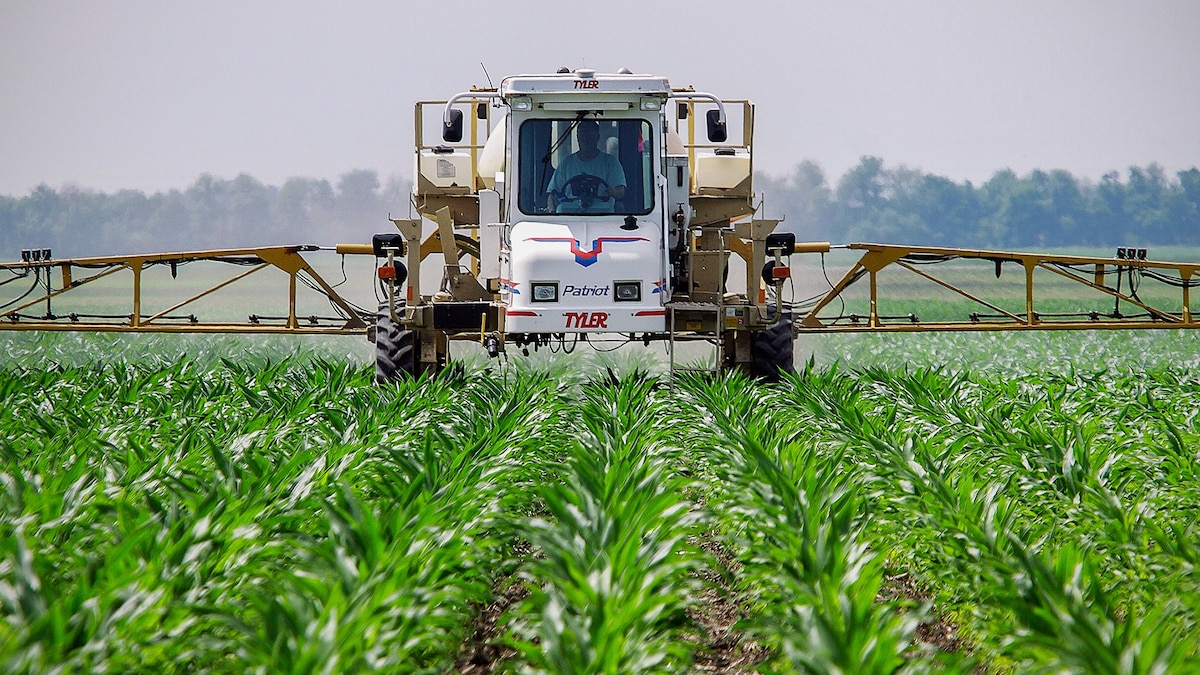 What Do We Really Know About Roundup Weed Killer? | National Geographic