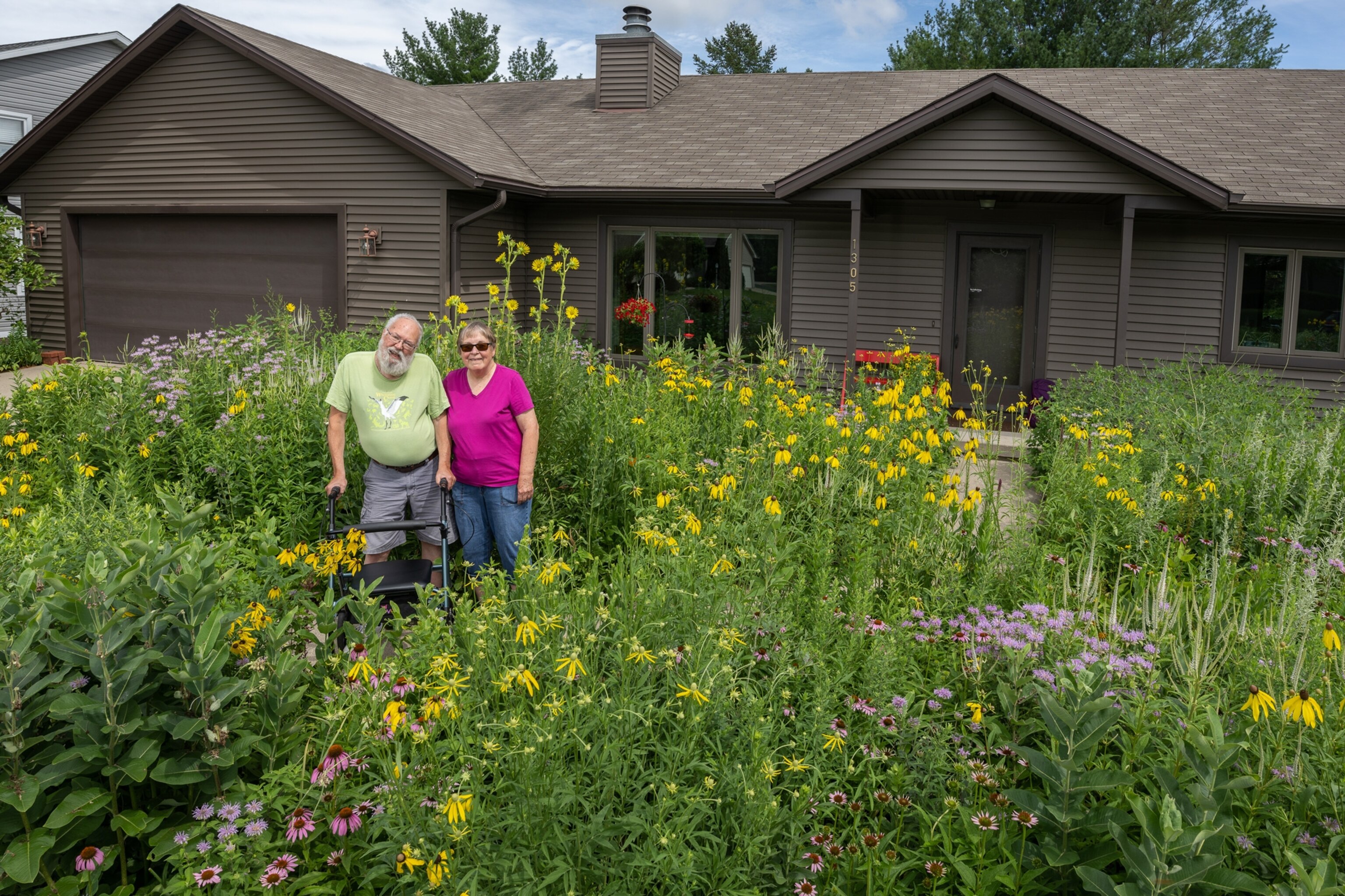 Anyone can help monarch butterflies. All you need is a yard.