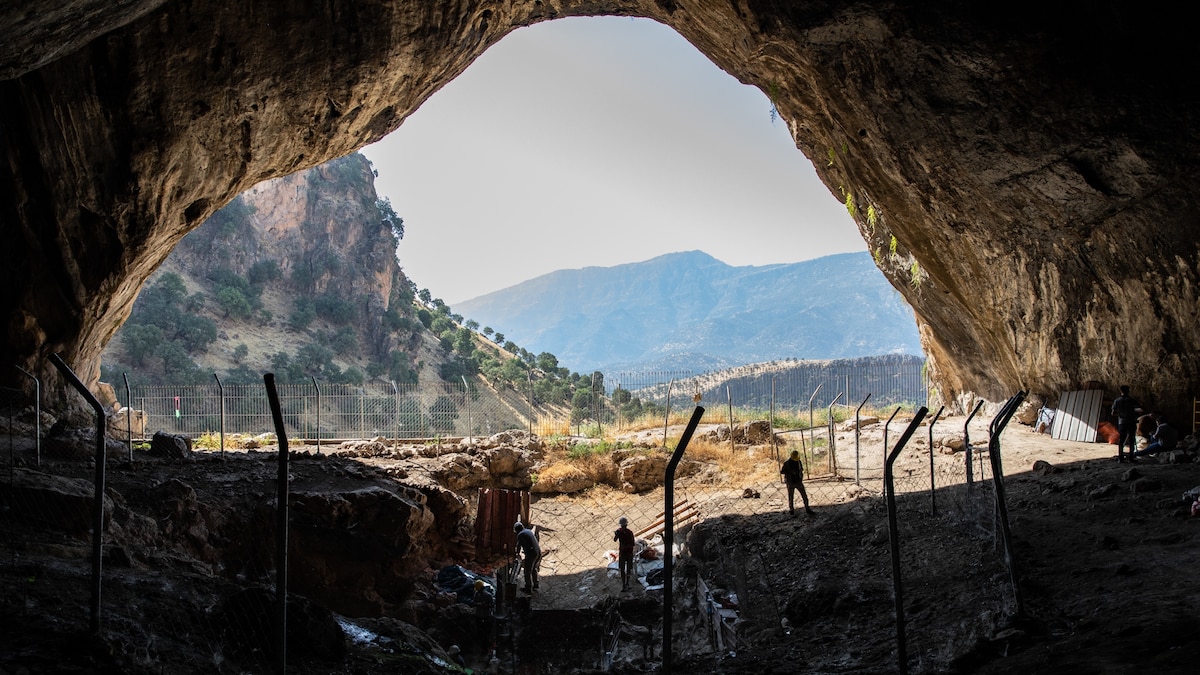 Why did Neanderthals and humans bury their dead? Scientists have a new ...