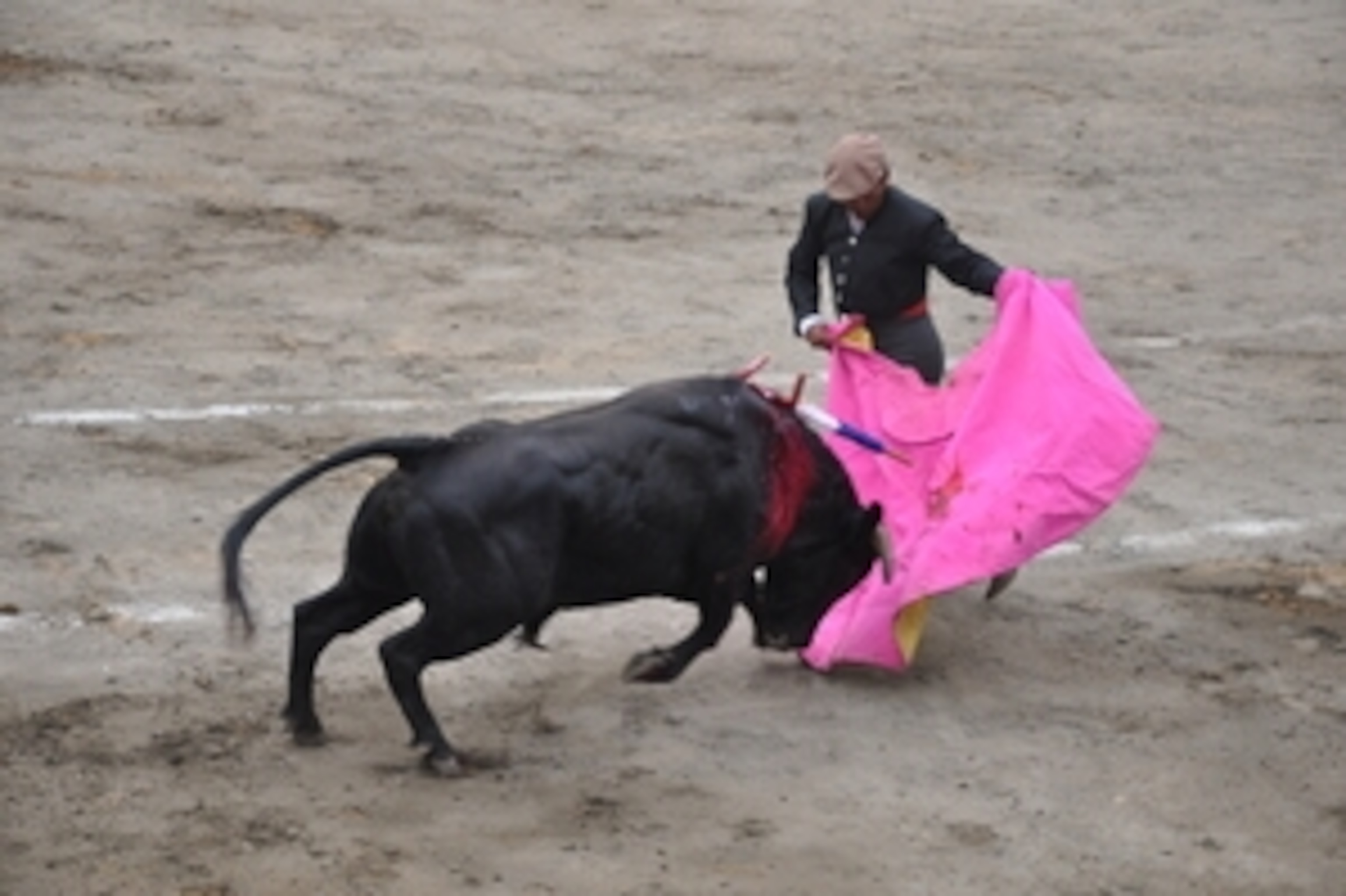 The Confessions of a Peruvian Bullfighter
