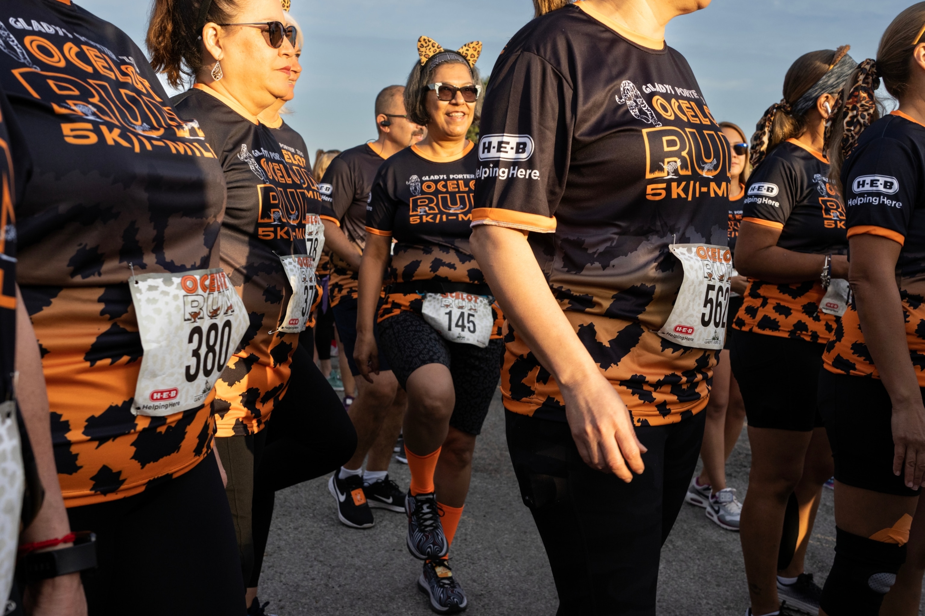 Ocelots once roamed the U.S. Can we bring them back?