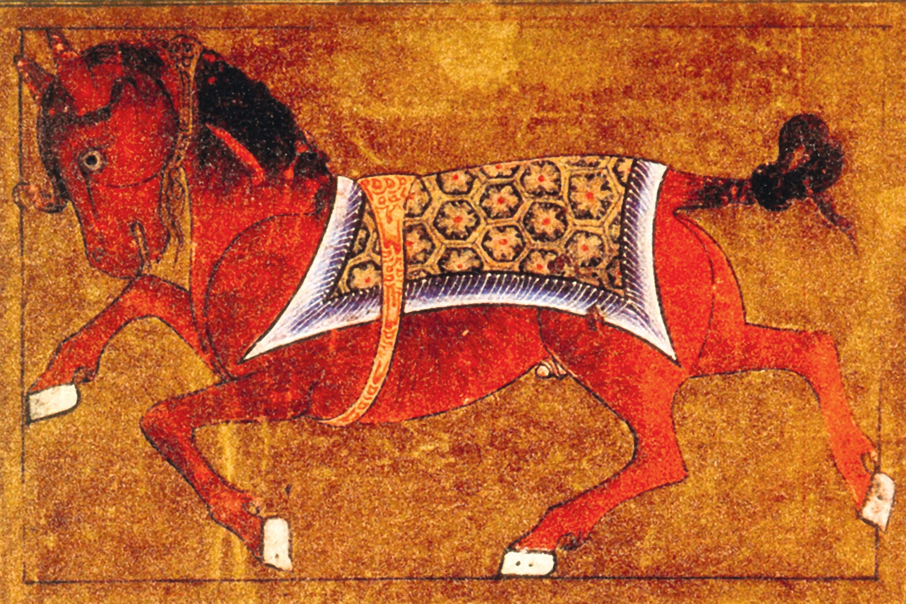 How Early Islamic Science Advanced Medicine