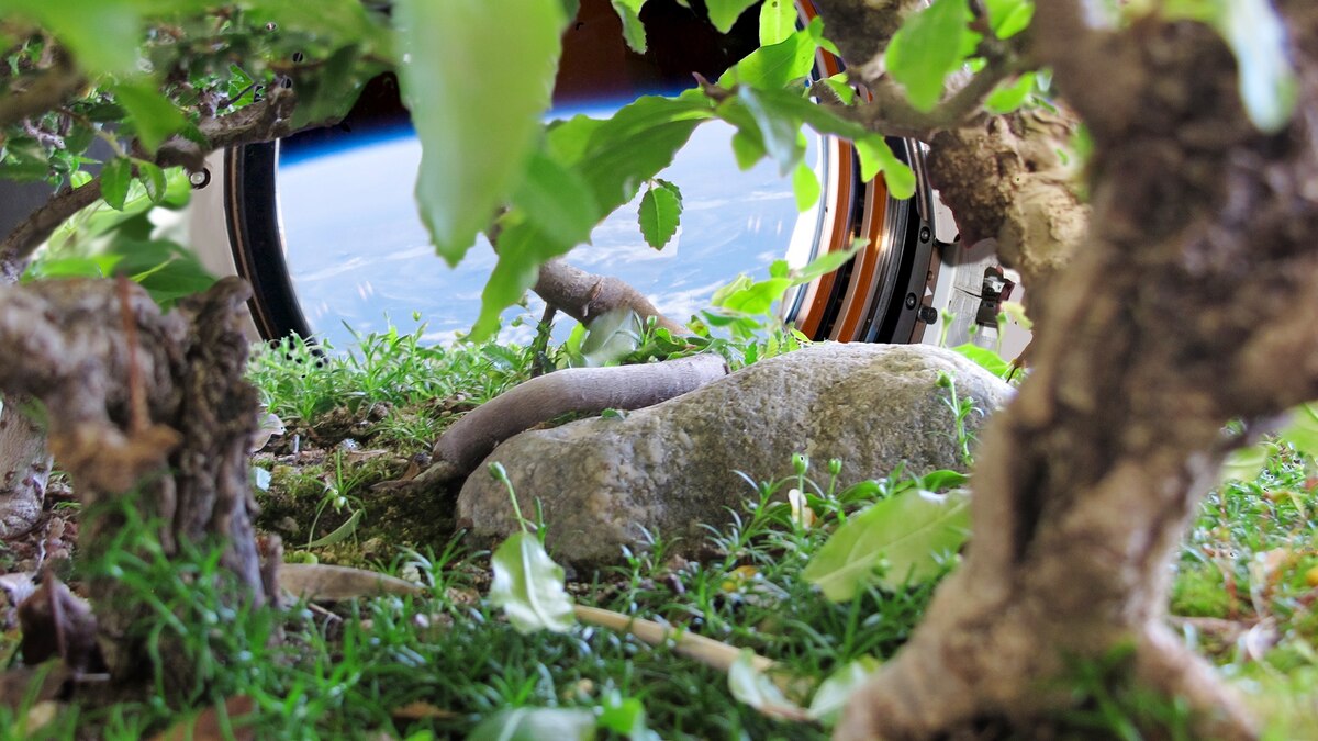 Up on the Farm? Five Reasons NASA Needs Space Greenhouses | National ...